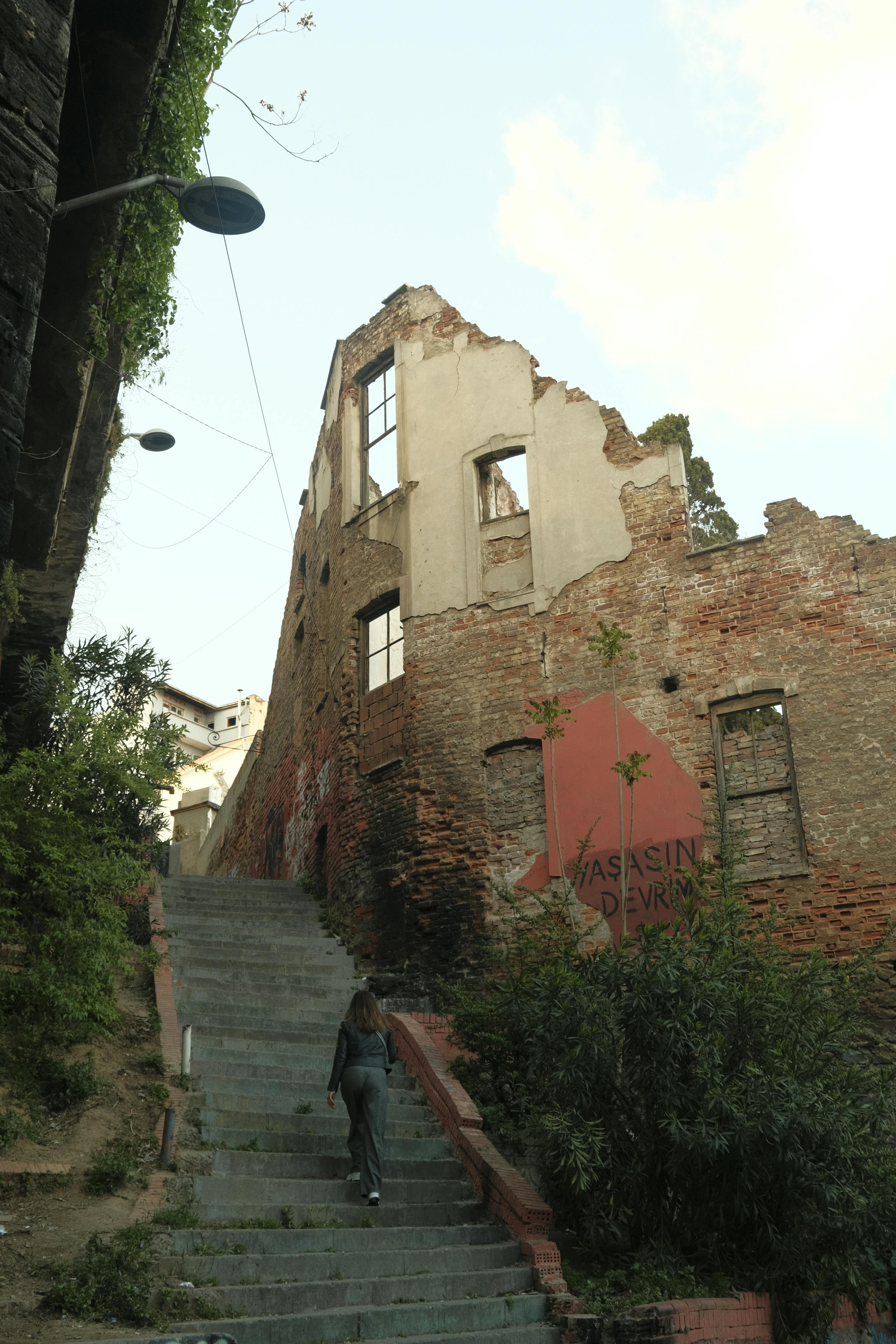 Human Plants Photos, Download The BEST Free Human Plants Stock Photos ...