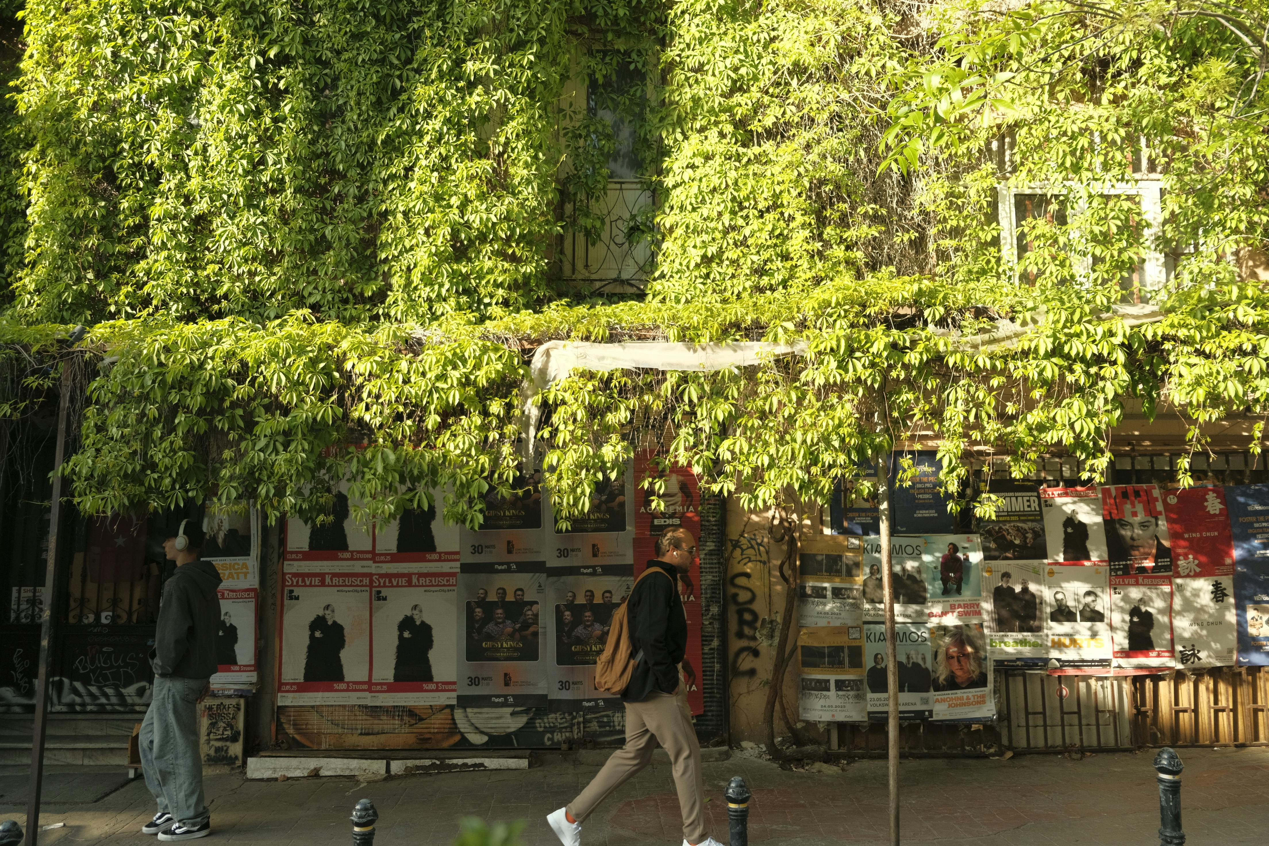 Street Scene in Cihangir, Istanbul with Ivy-Covered Building · Free ...
