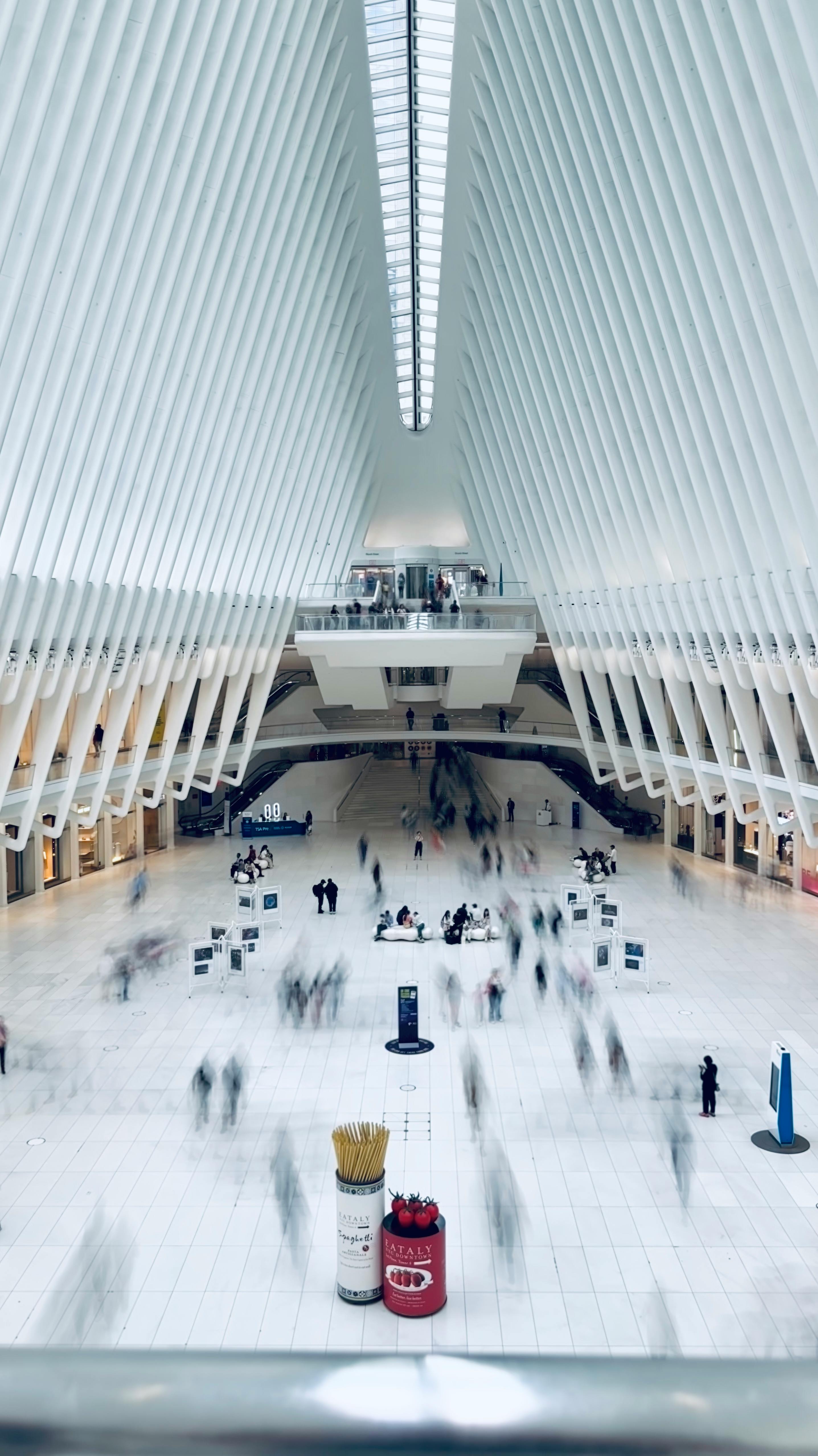 Dynamic View of Oculus Interior in New York City · Free Stock Photo