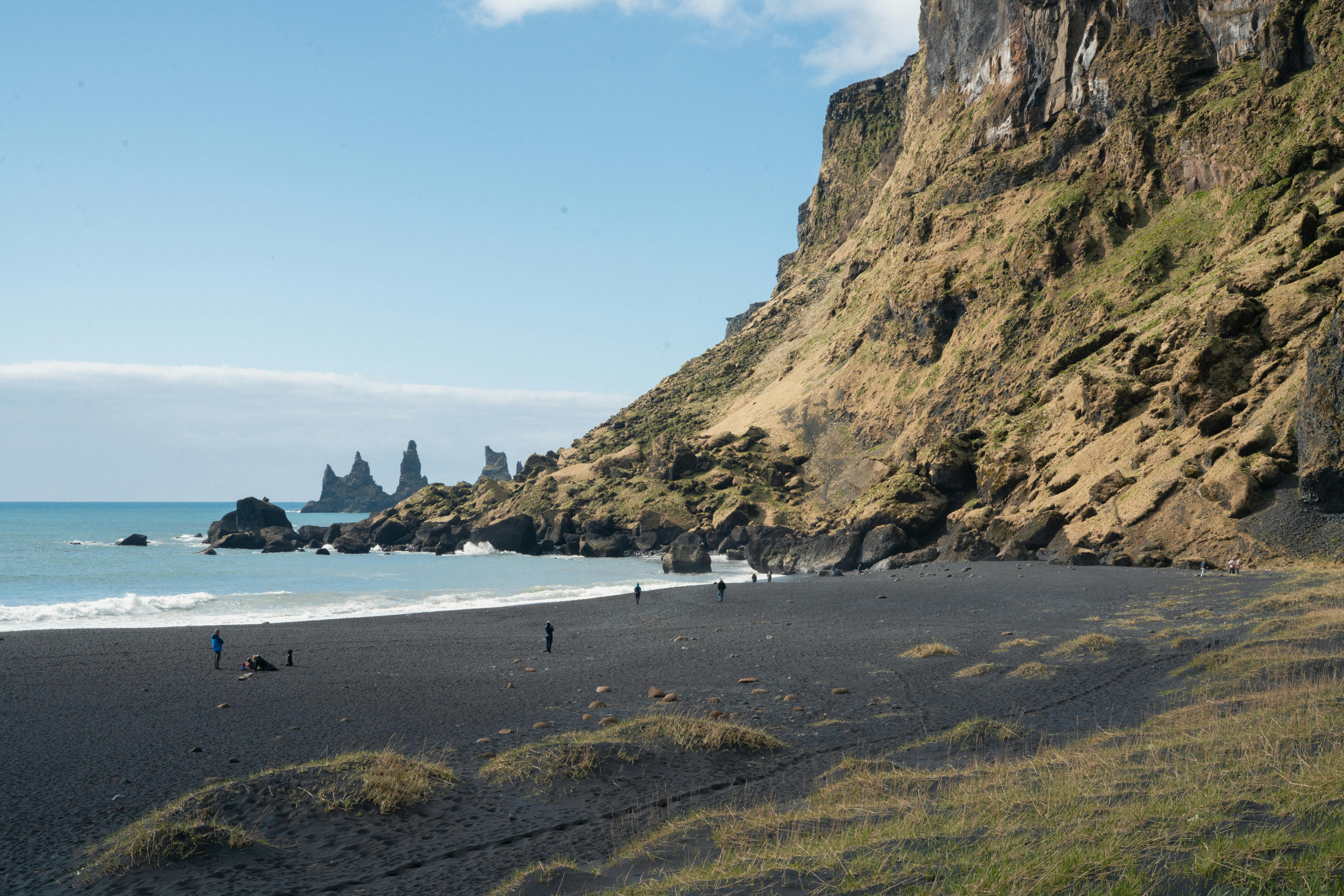 Scenic Black Sand Beach with Basalt Columns in Iceland · Free Stock Photo