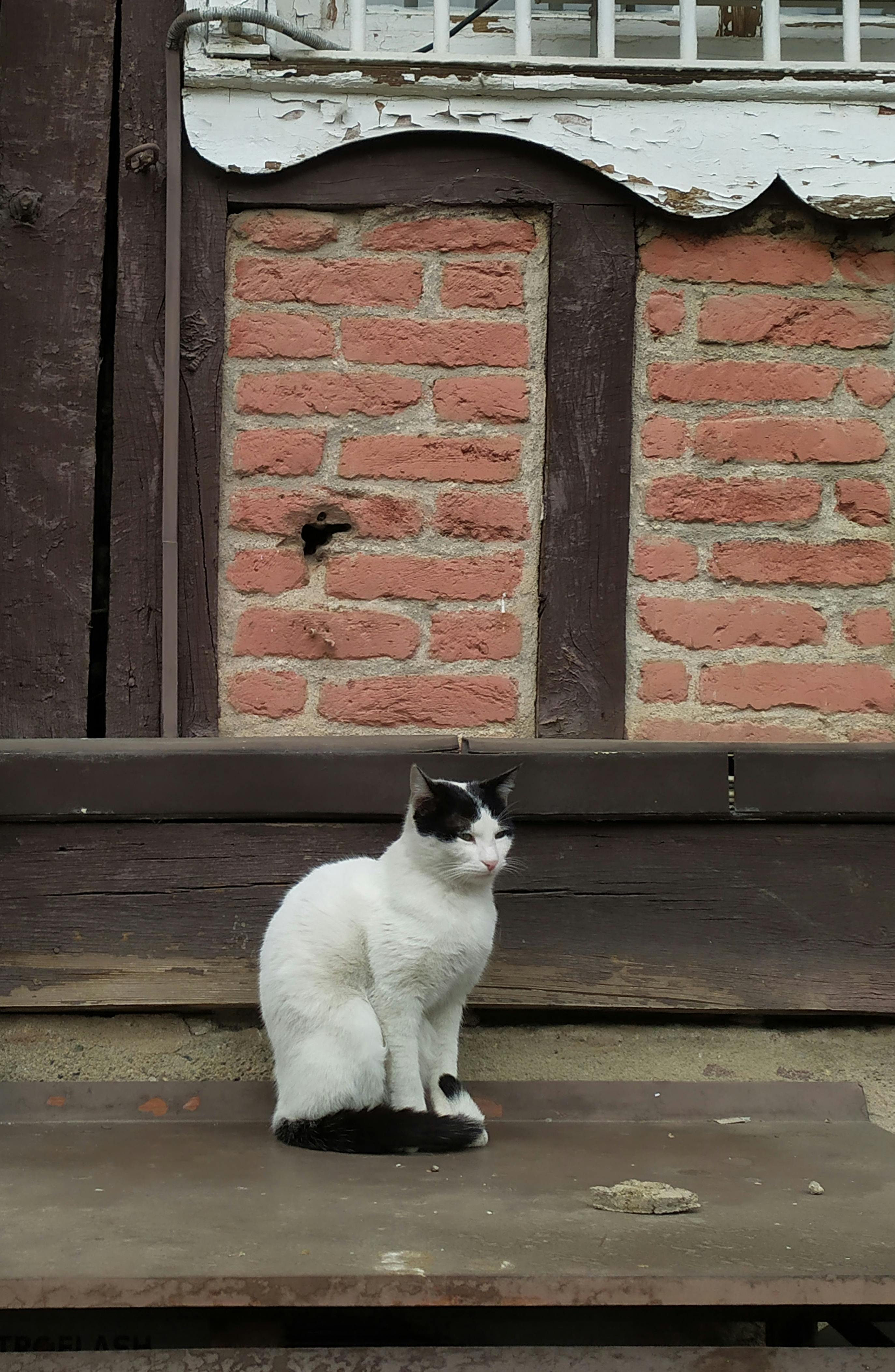 Melike Baran - 사진