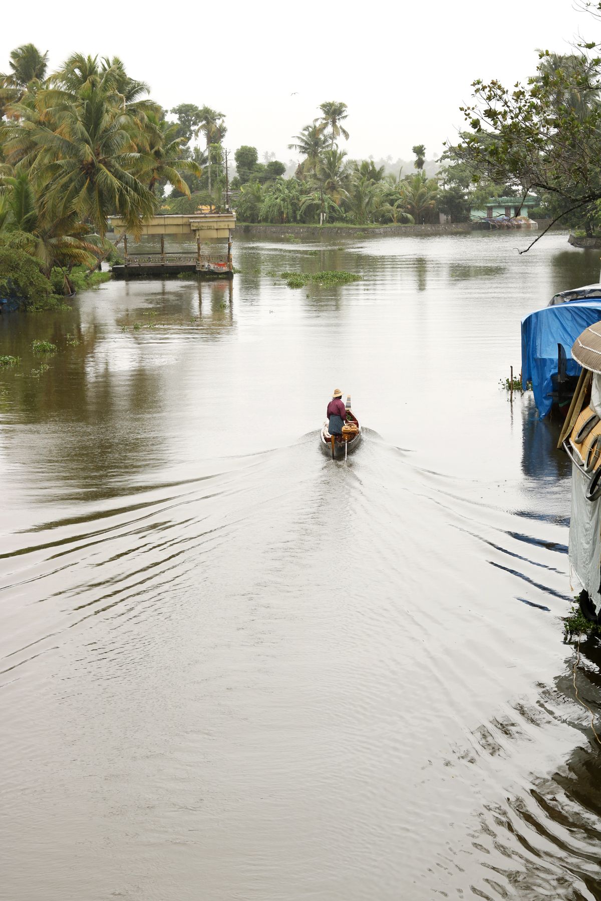 Kerala Parota Photos, Download The BEST Free Kerala Parota Stock Photos ...