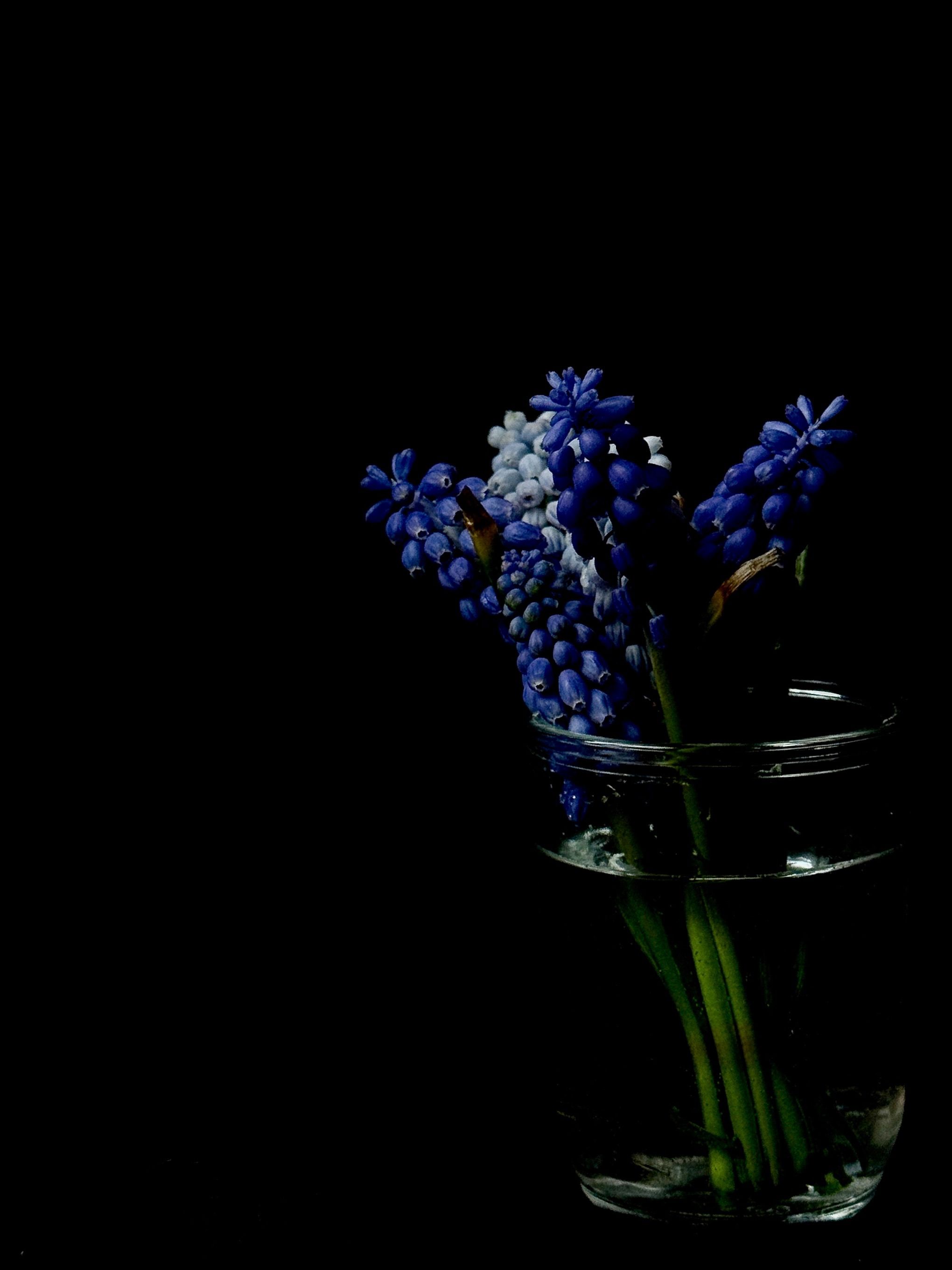 Simple Flower Photos, Download The BEST Free Simple Flower Stock Photos ...