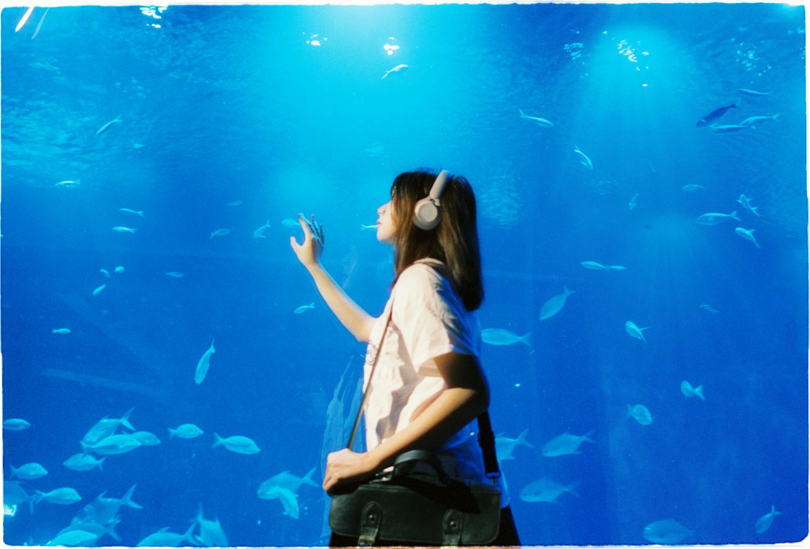 Yolobit Girl Photos, Download The BEST Free Yolobit Girl Stock Photos ...