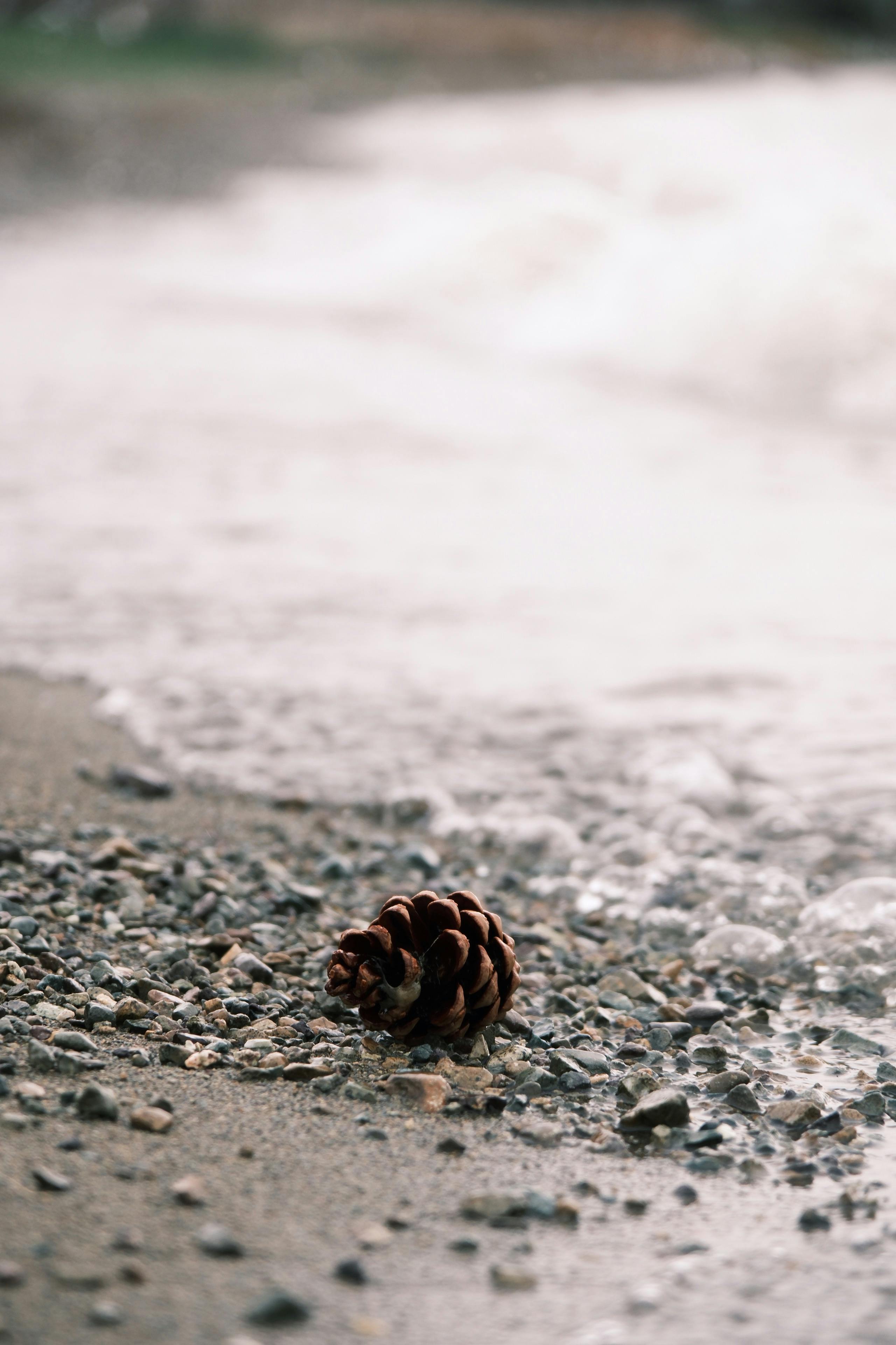 Tarp Background Photos, Download The BEST Free Tarp Background Stock ...