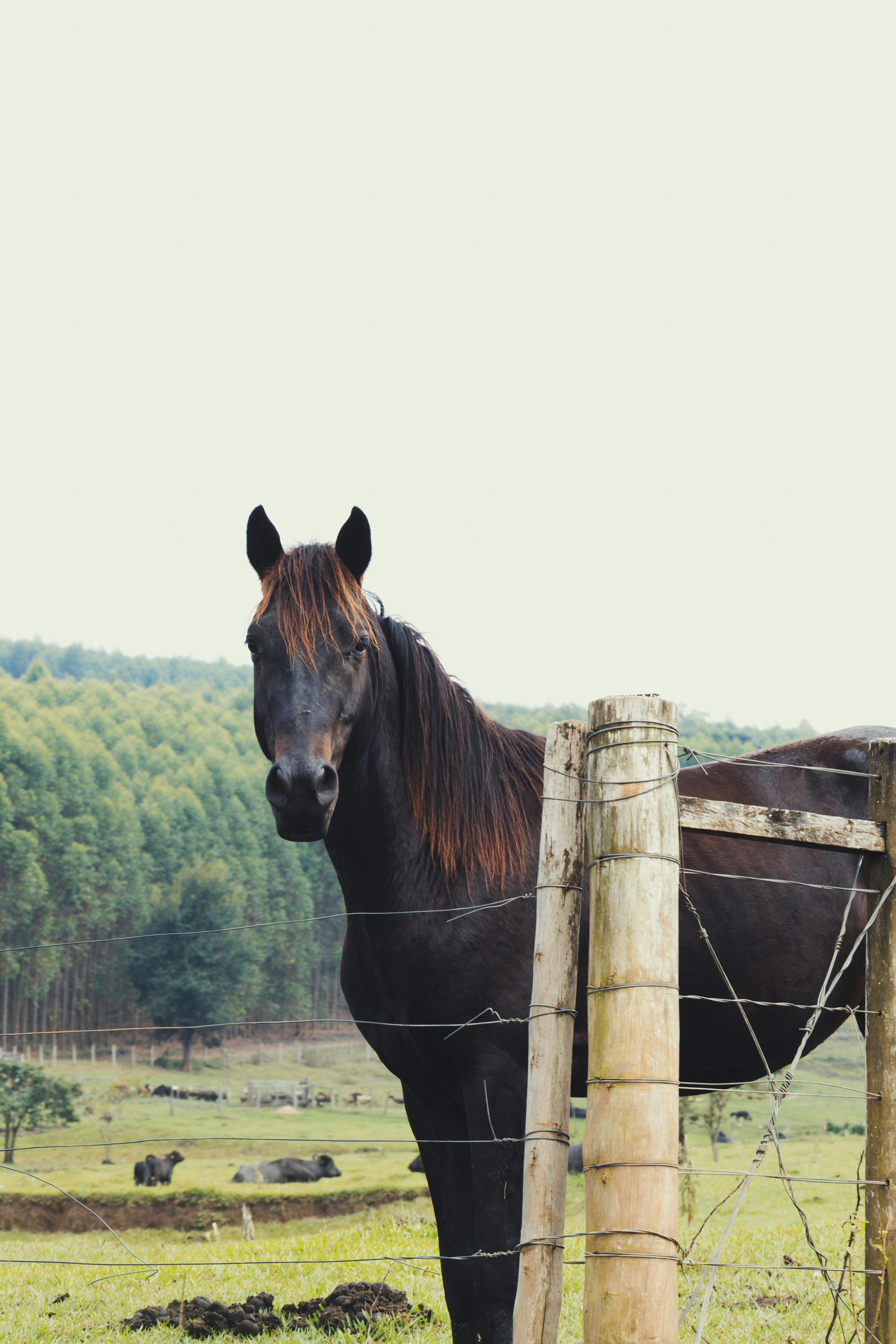 Ranch Photos, Download The BEST Free Ranch Stock Photos & HD Images