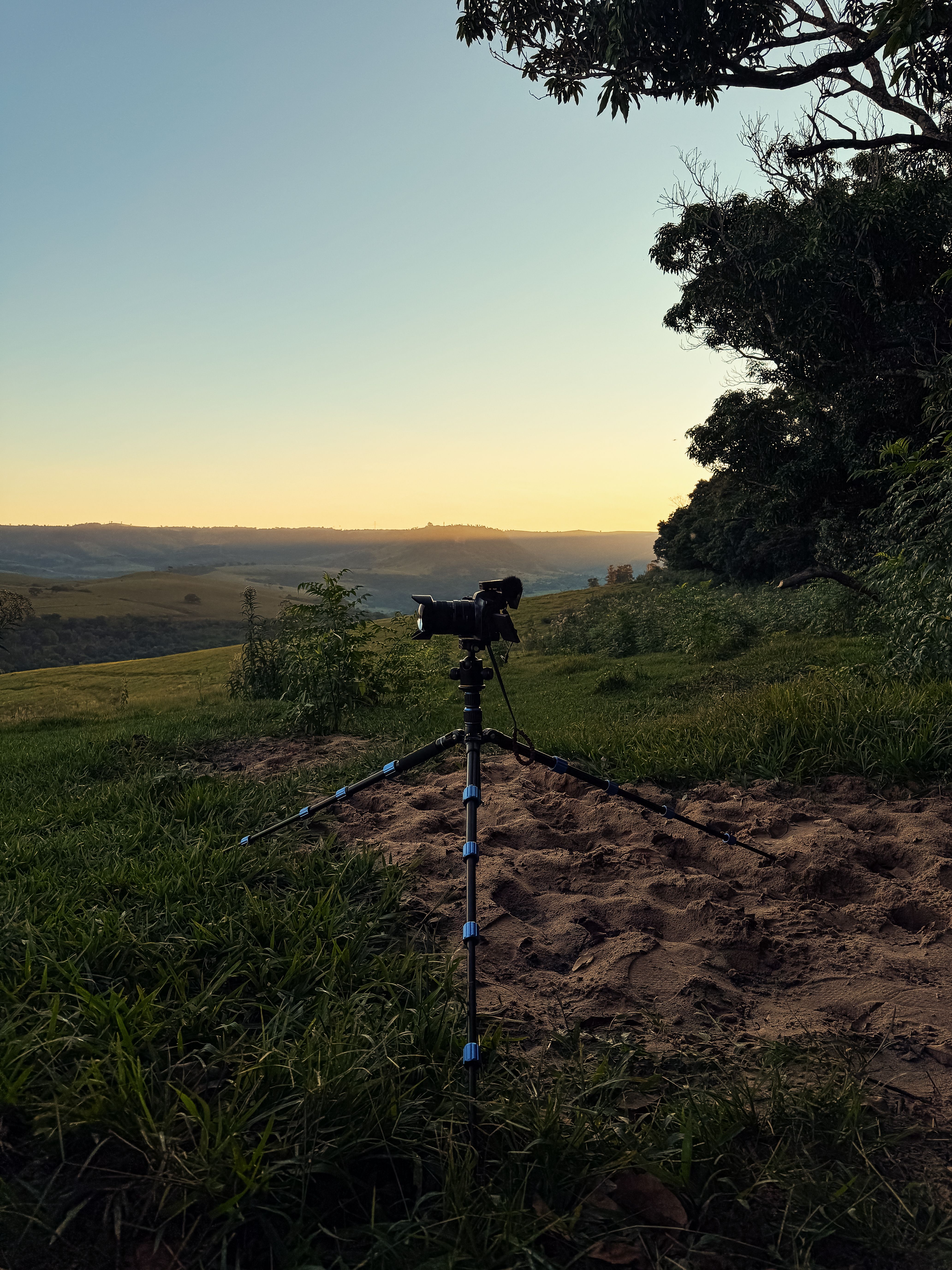 Stock Video Photos, Download The BEST Free Stock Video Stock Photos ...