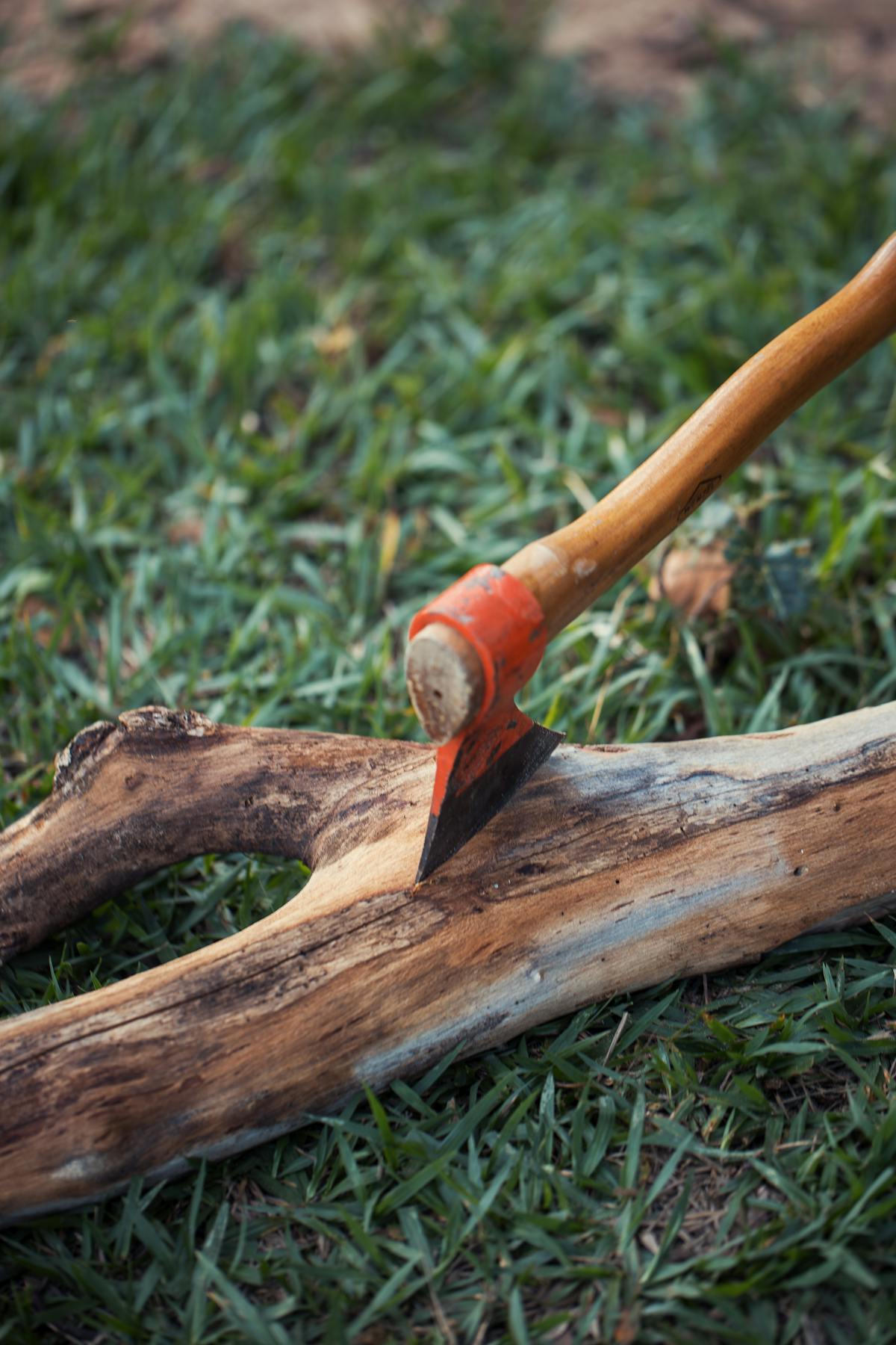 Grass Cutting Photos, Download The BEST Free Grass Cutting Stock Photos ...