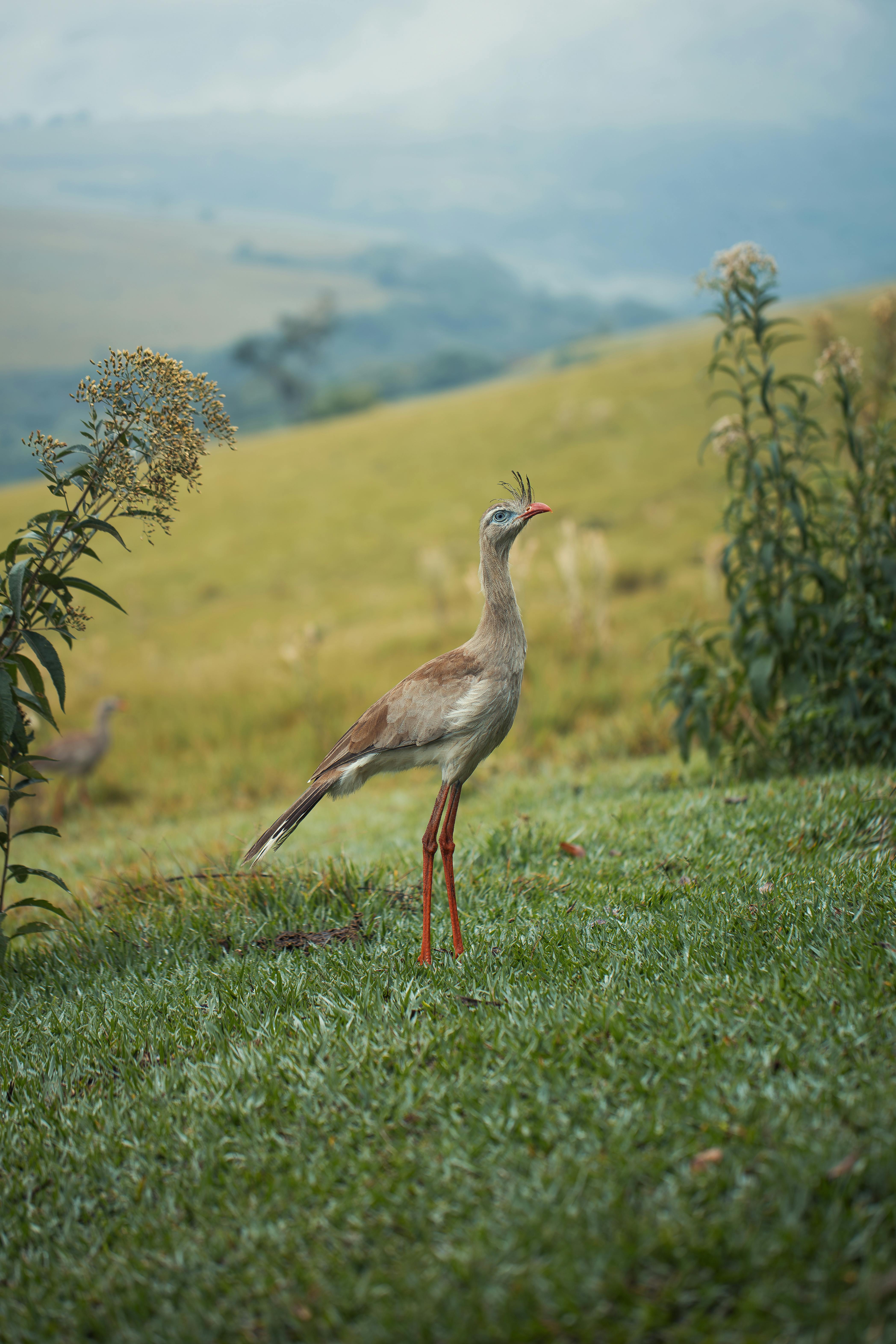 Live+Bokep+Bugil Photos, Download The BEST Free Live+Bokep+Bugil Stock Photos & HD Images