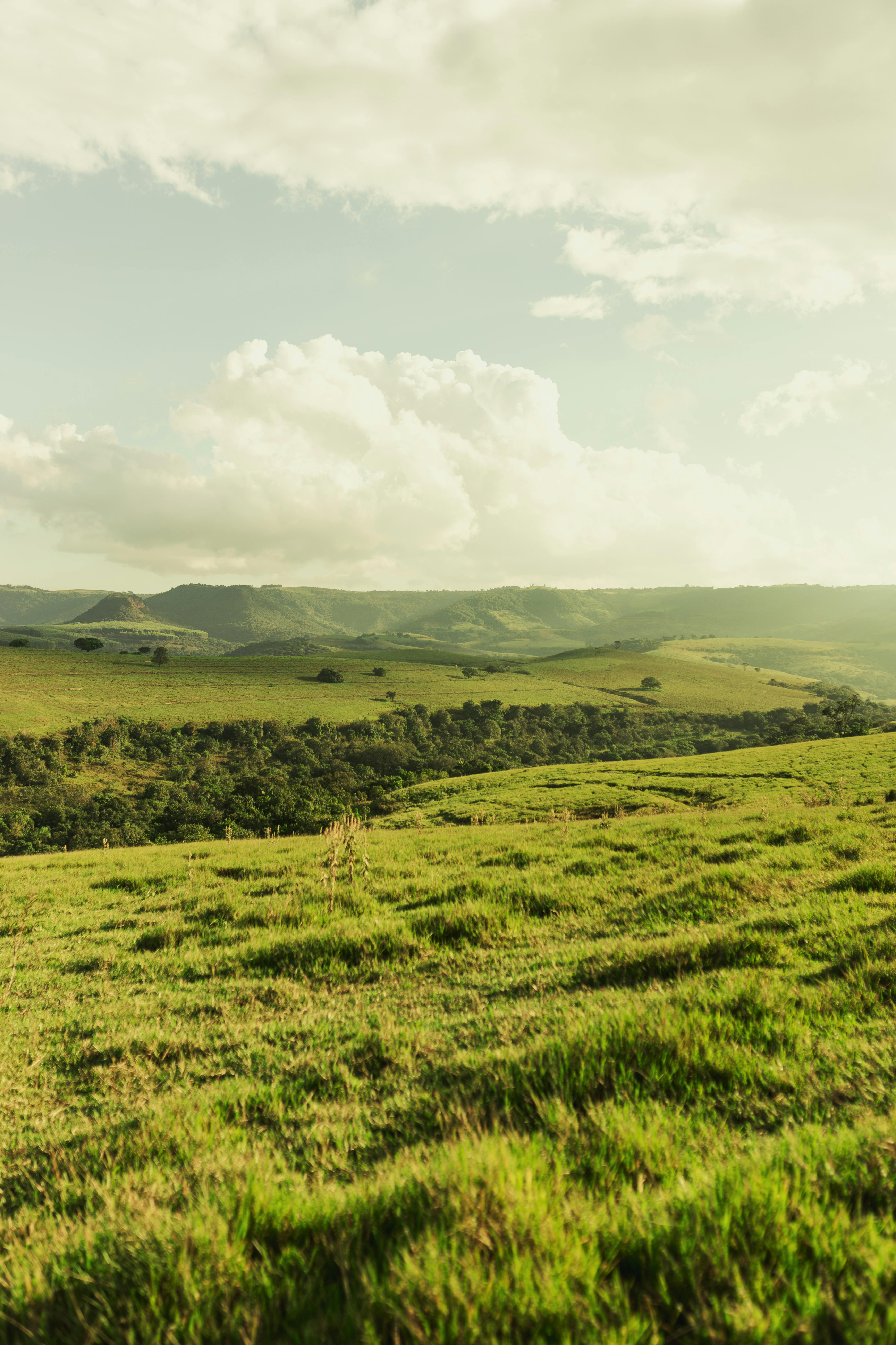 Paisaje Tranquilo De Colinas Onduladas Con Vegetación · Foto de stock ...