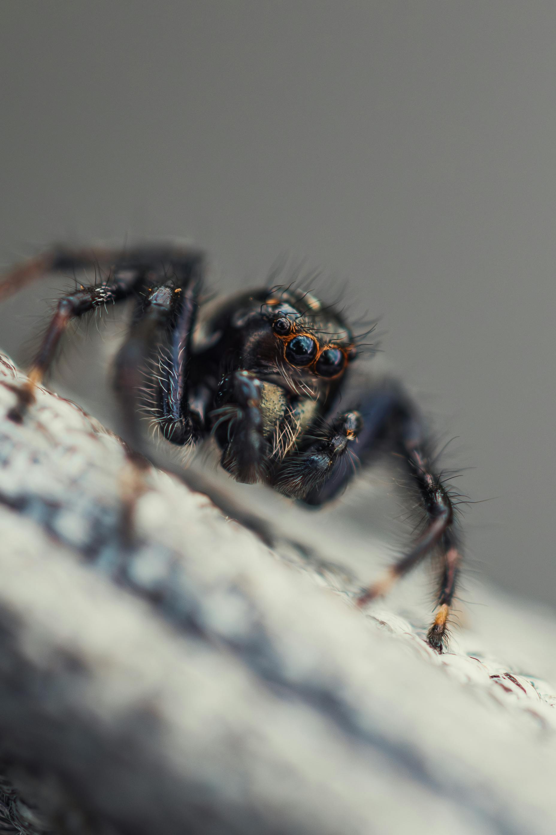 Anime Grass Texture Photos, Download The BEST Free Anime Grass Texture ...