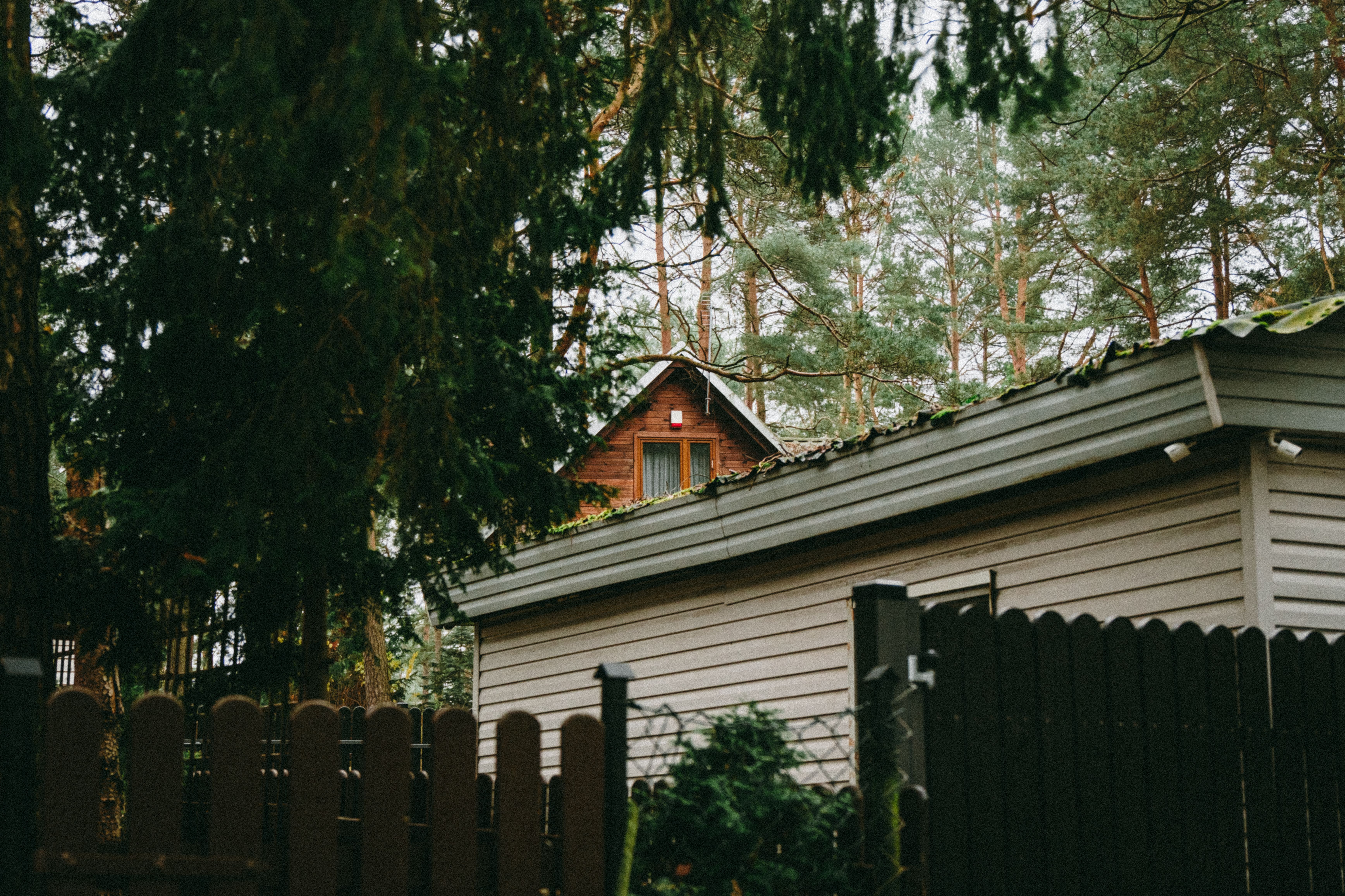 Charming Wooden House in Polish Forest Setting · Free Stock Photo