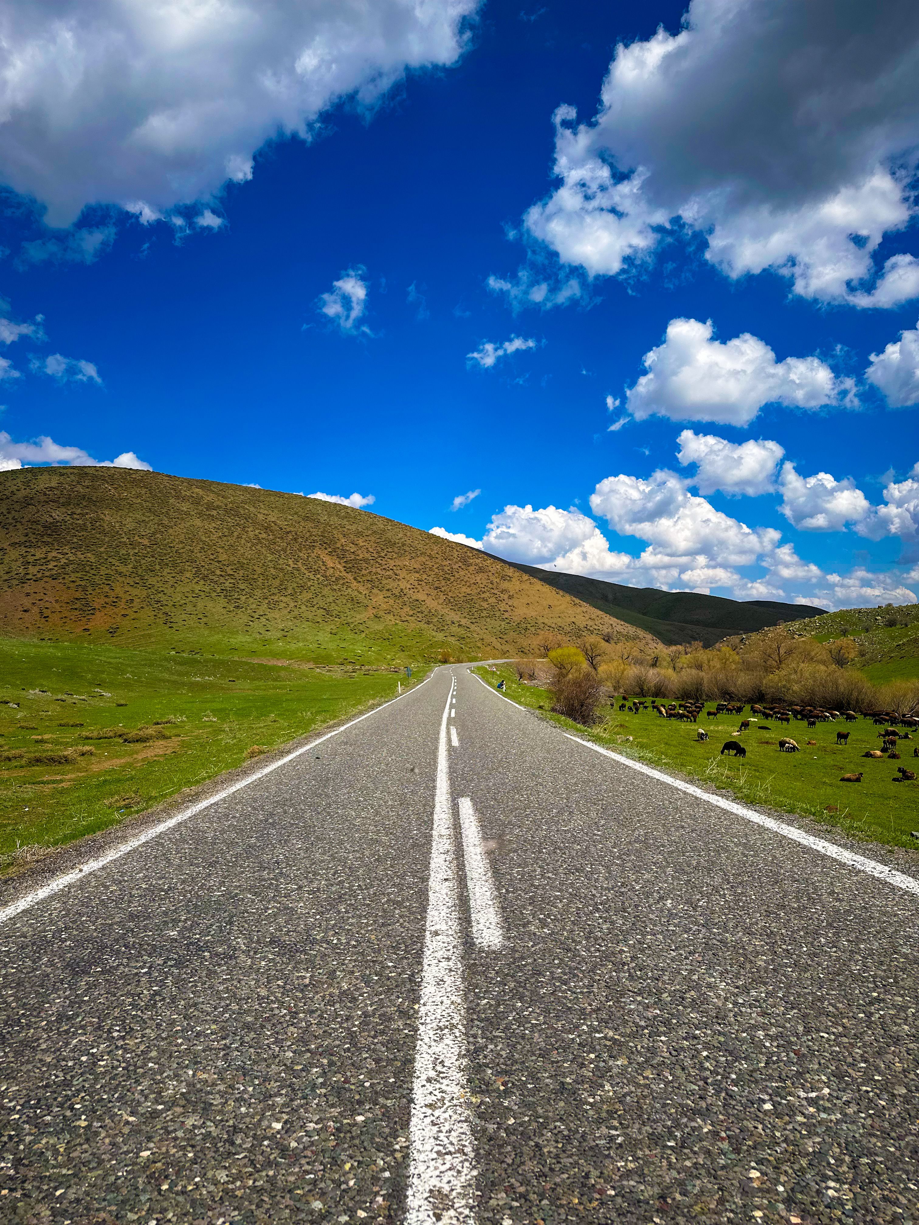 Photography of the Road · Free Stock Photo