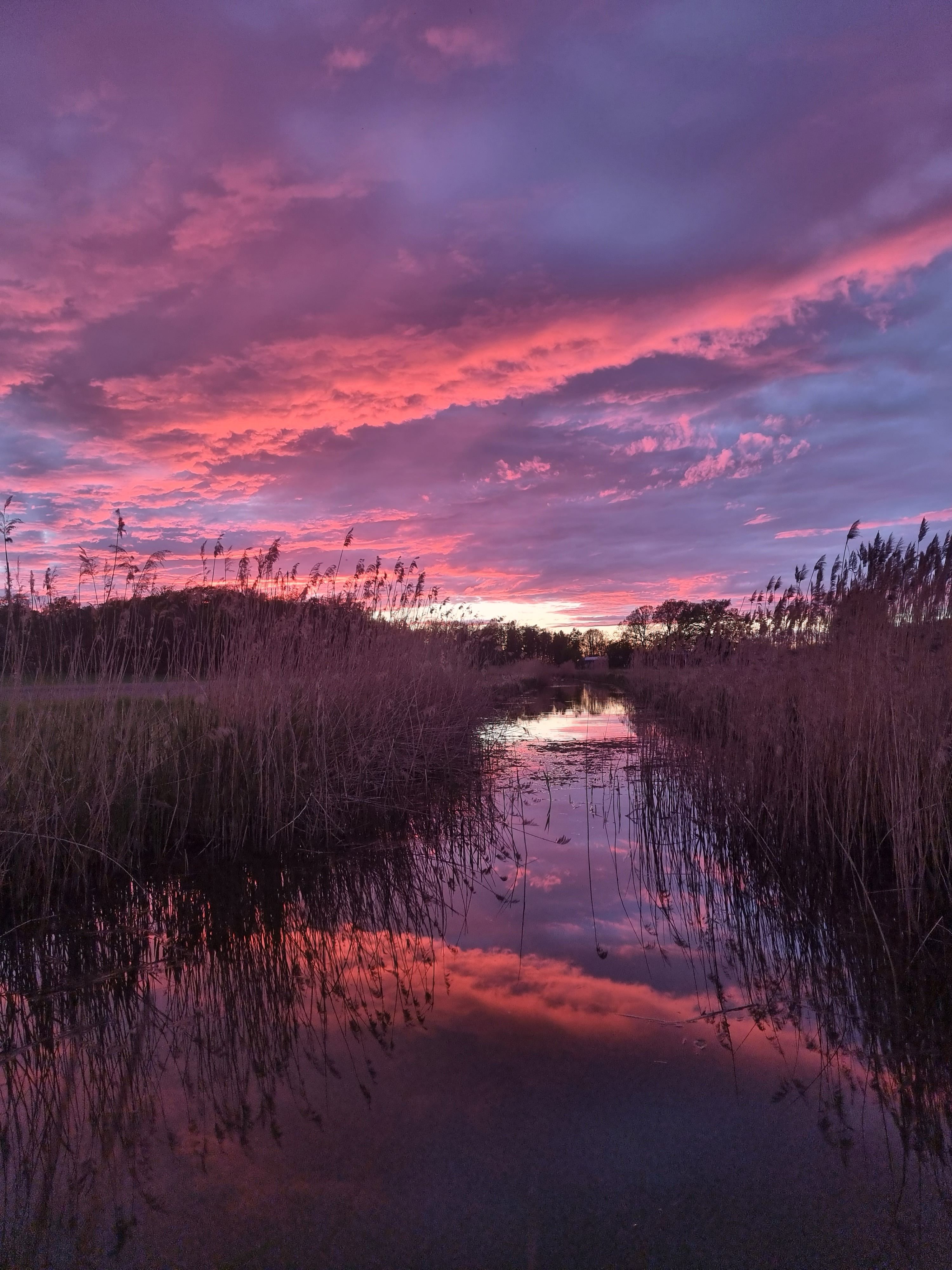 Stunning Swedish Sunset over Reflective Marsh · Free Stock Photo