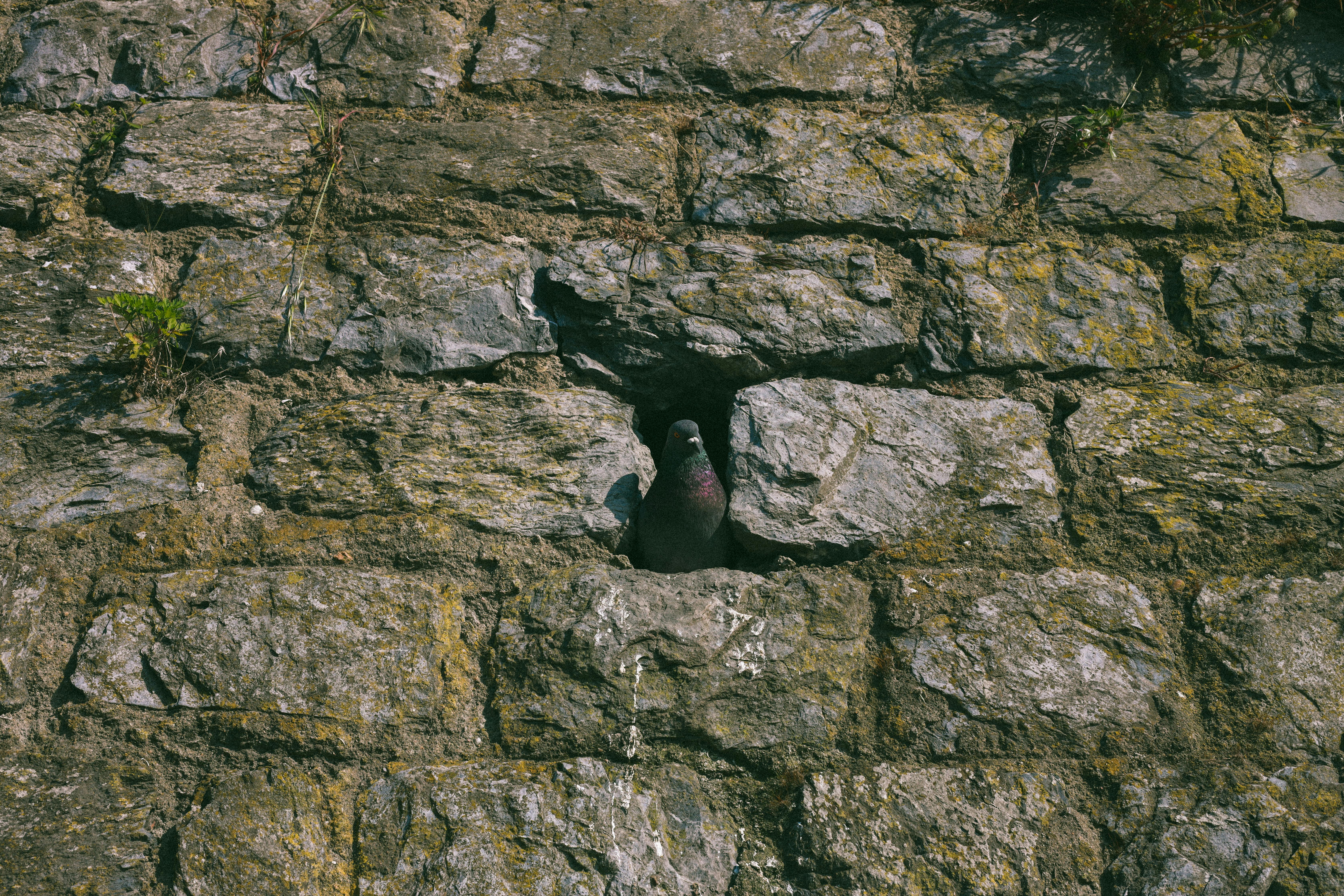 4k Birds Eye View Photos, Download The BEST Free 4k Birds Eye View ...