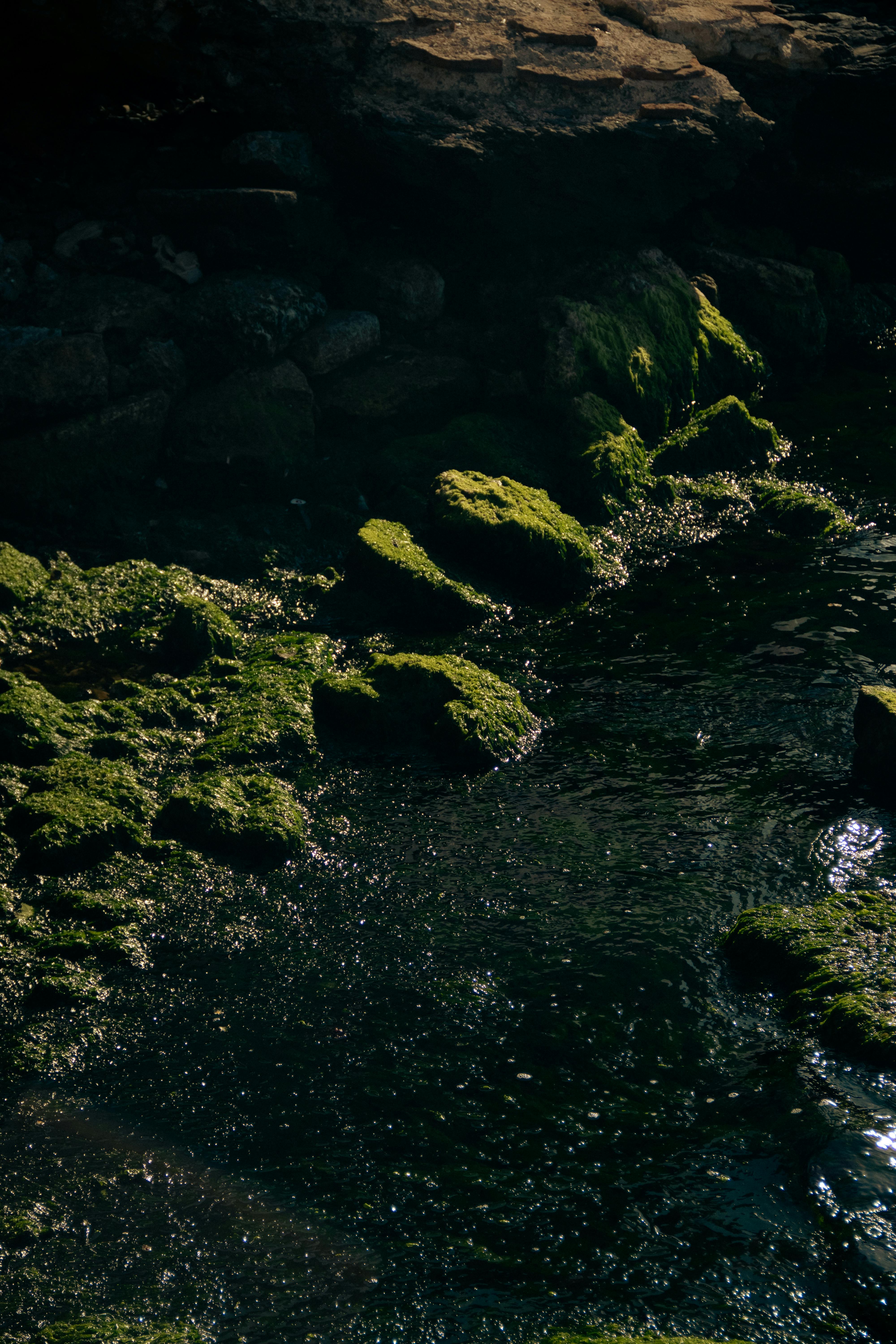 Minecraft Image Photos, Download The BEST Free Minecraft Image Stock ...