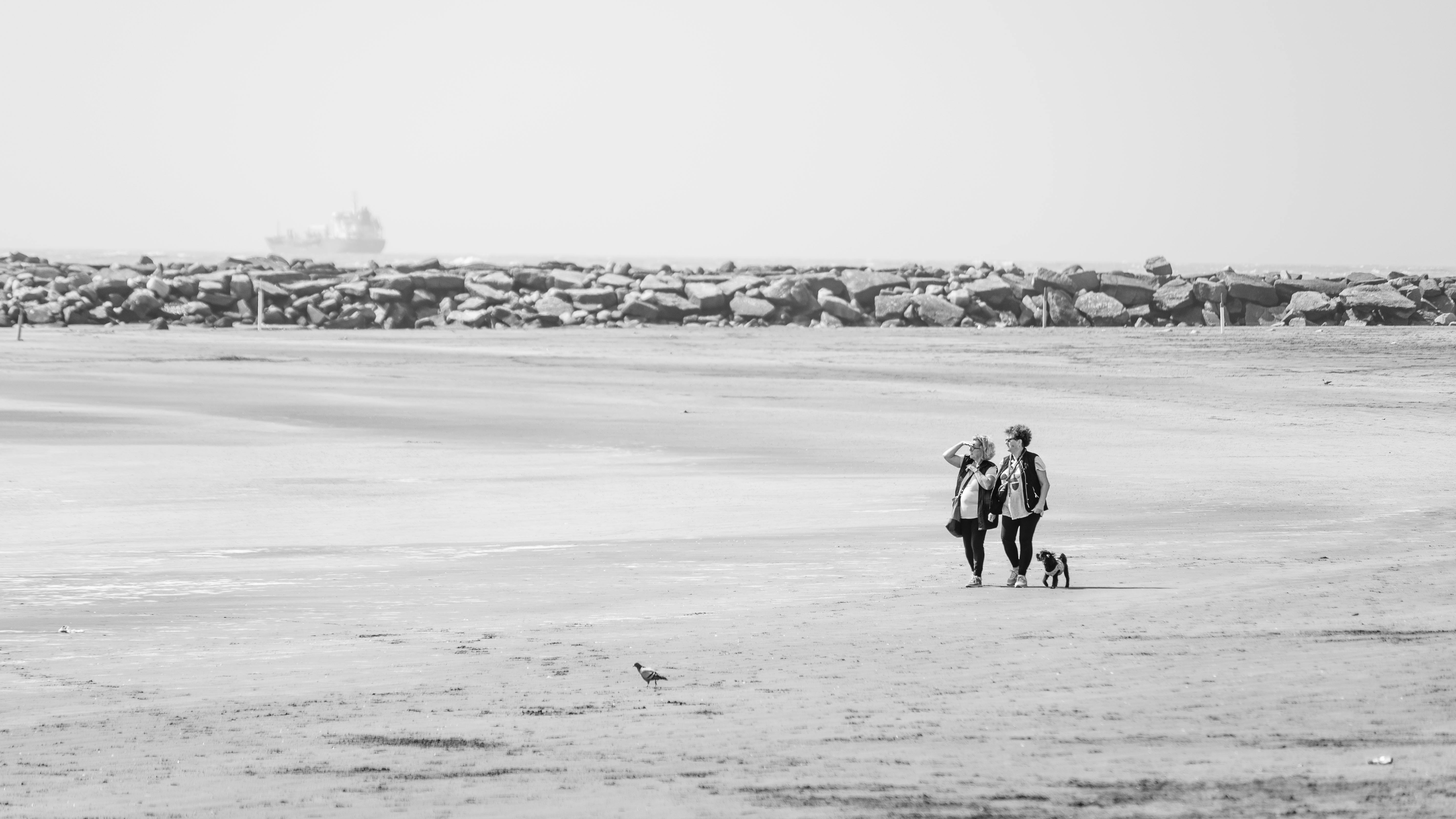 Dsm 5 Photos, Download The BEST Free Dsm 5 Stock Photos & HD Images