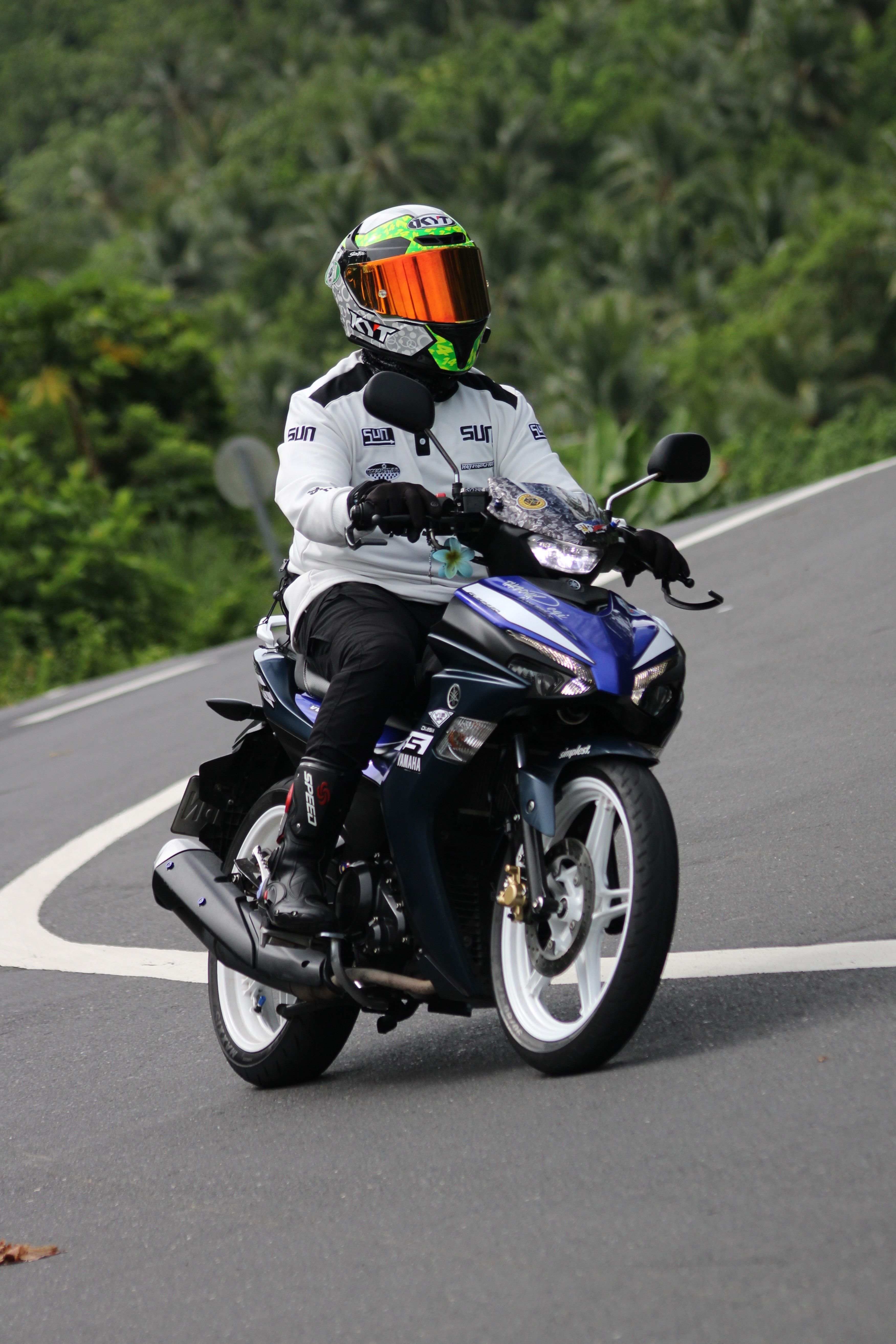 Motorcyclist Riding on Scenic Curved Road · Free Stock Photo