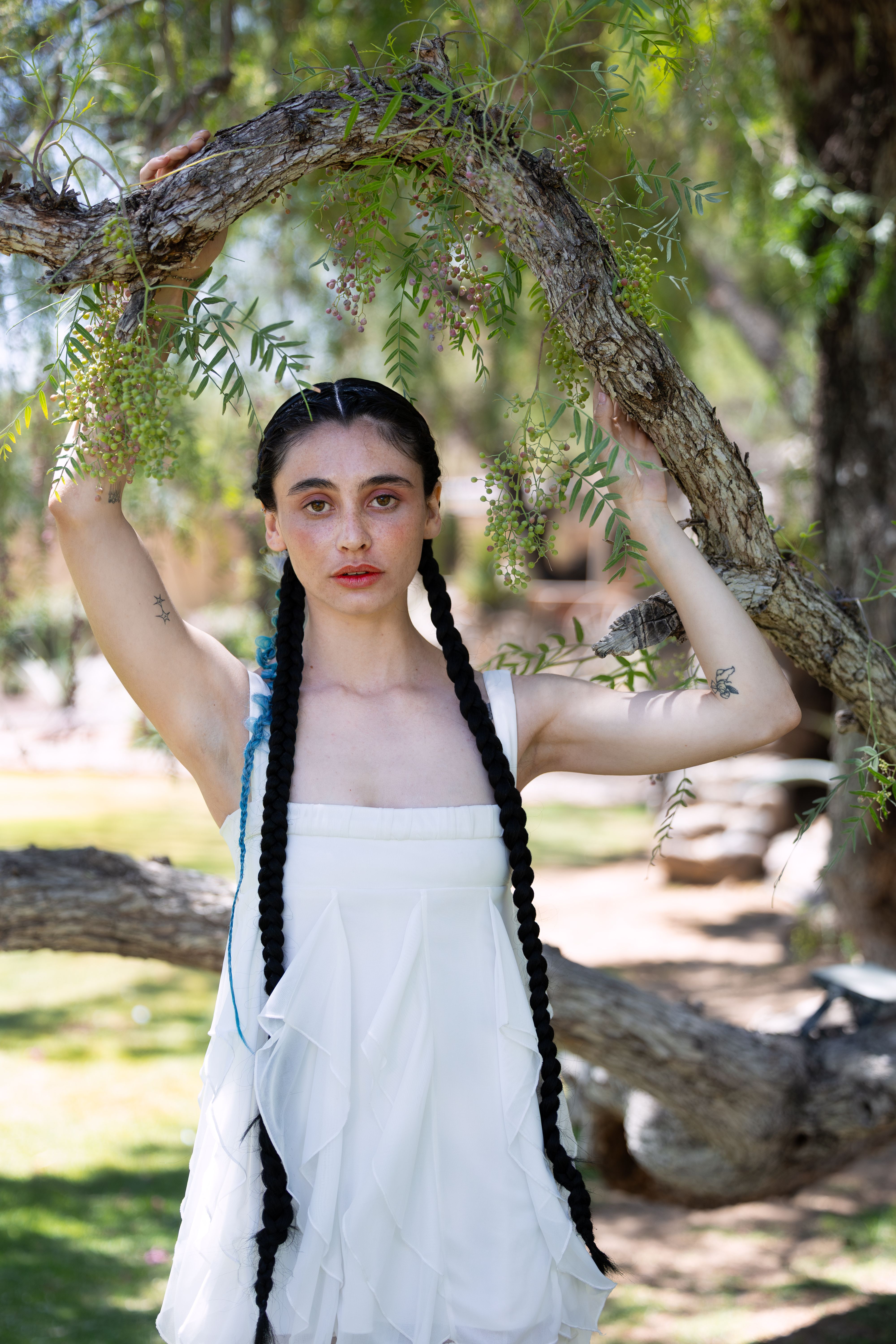 Woman in a Flowing White Dress Under Tree Branch · Free Stock Photo