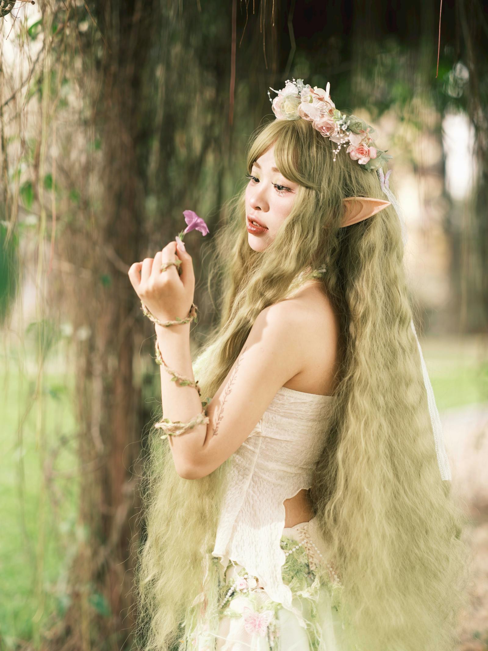 Elf Photos, Download The BEST Free Elf Stock Photos & HD Images