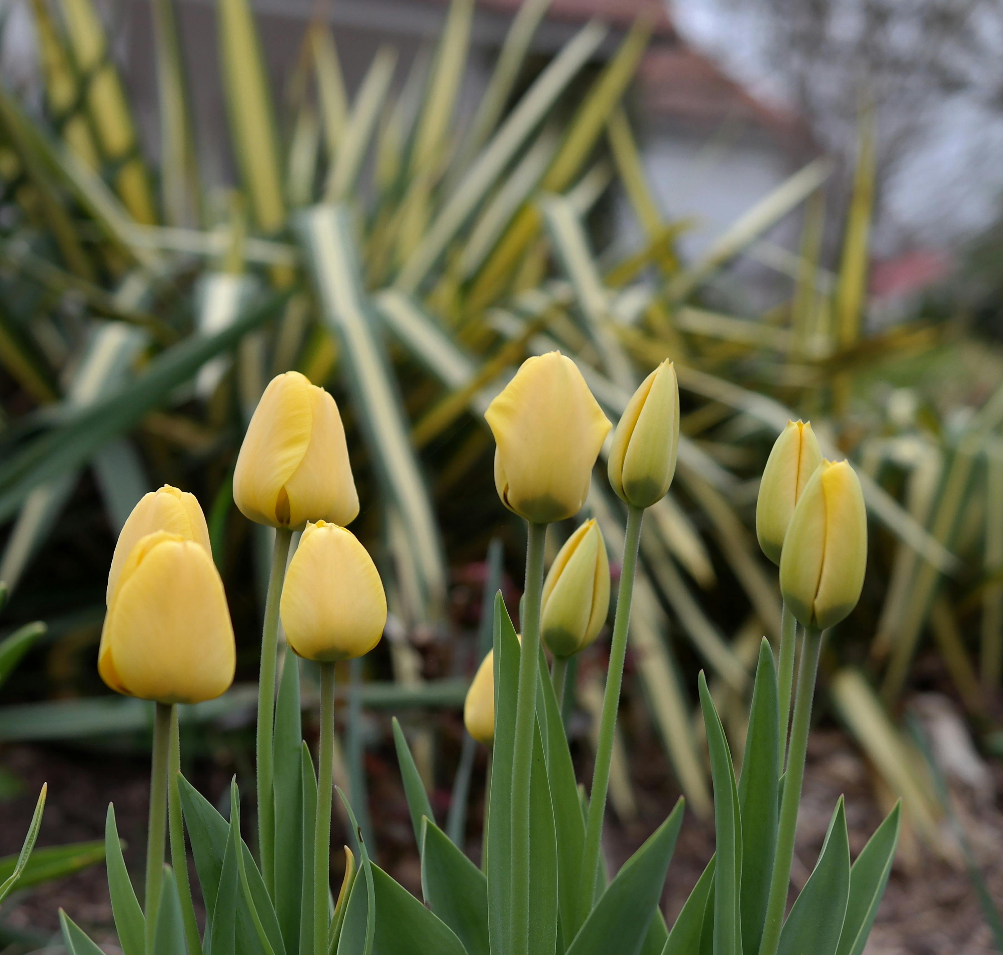 Adorable+Tween+Buds Photos, Download The BEST Free Adorable+Tween+Buds ...