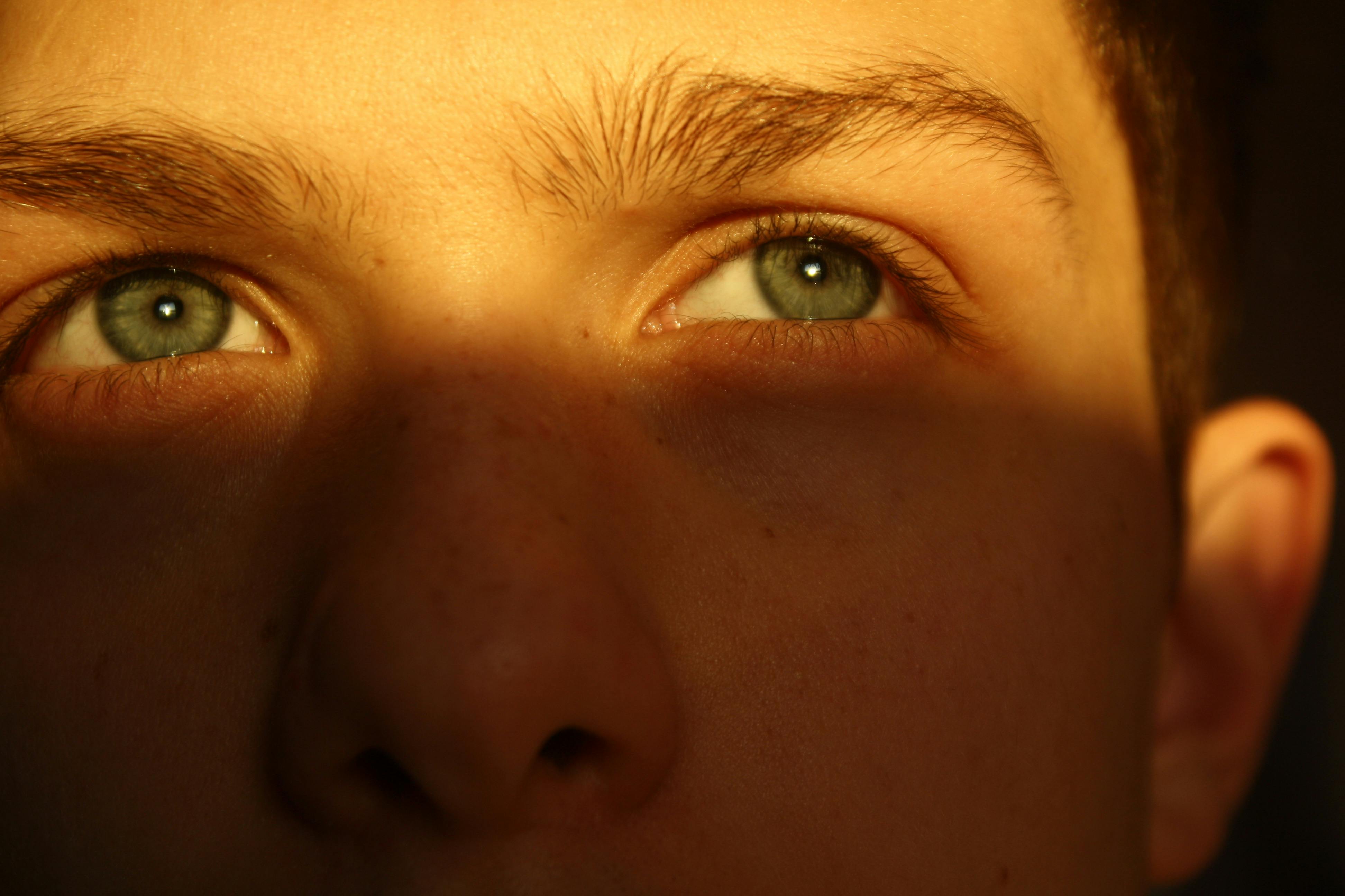 Close-up of eyes in dramatic lighting · Free Stock Photo