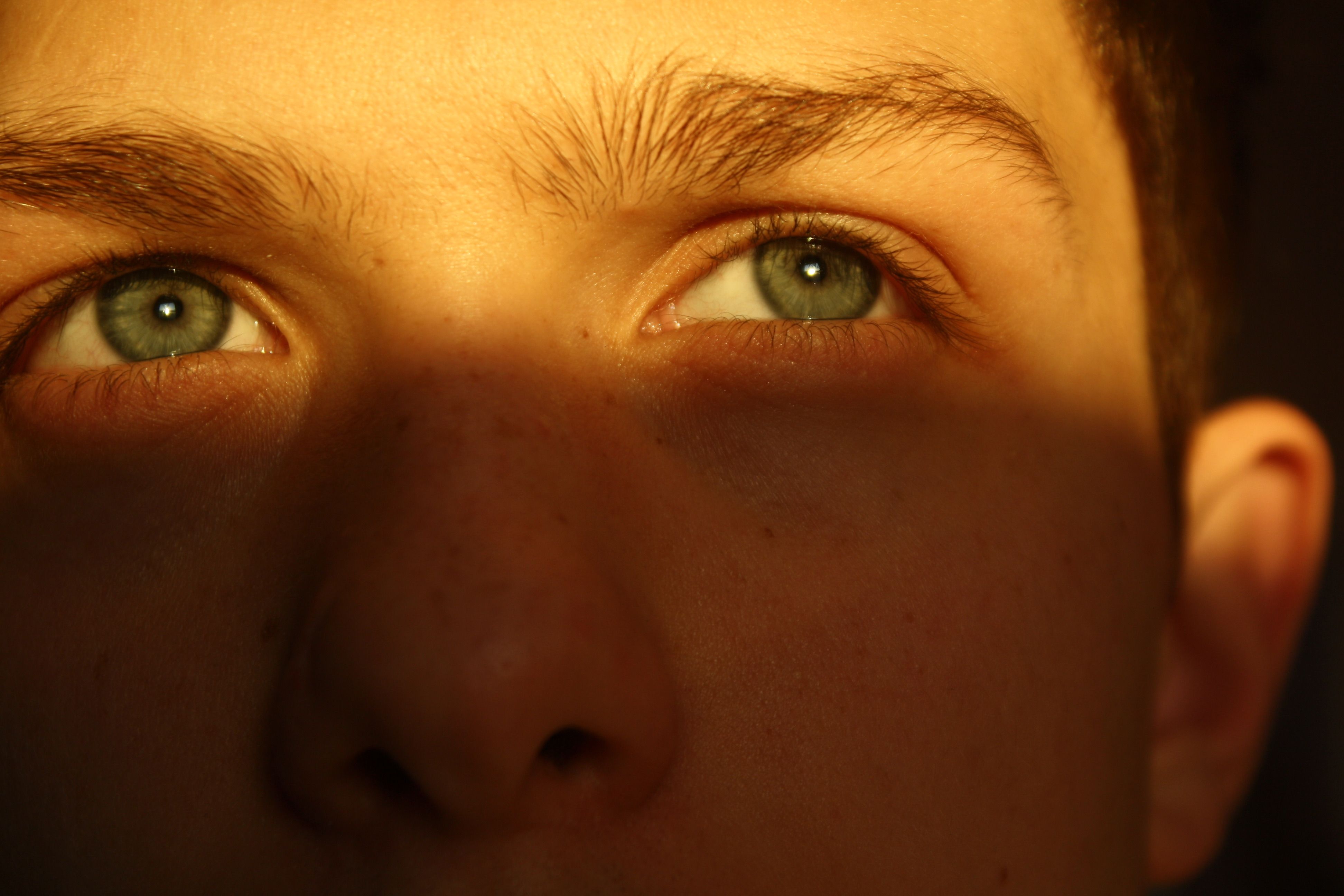 Close-up of eyes in dramatic lighting · Free Stock Photo
