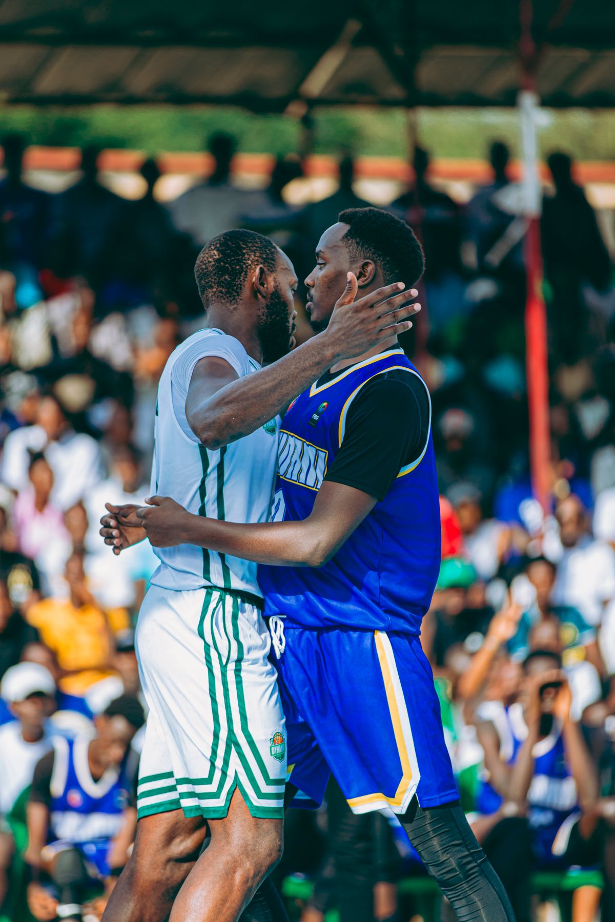 Basketball Pfp Photos, Download The BEST Free Basketball Pfp Stock ...