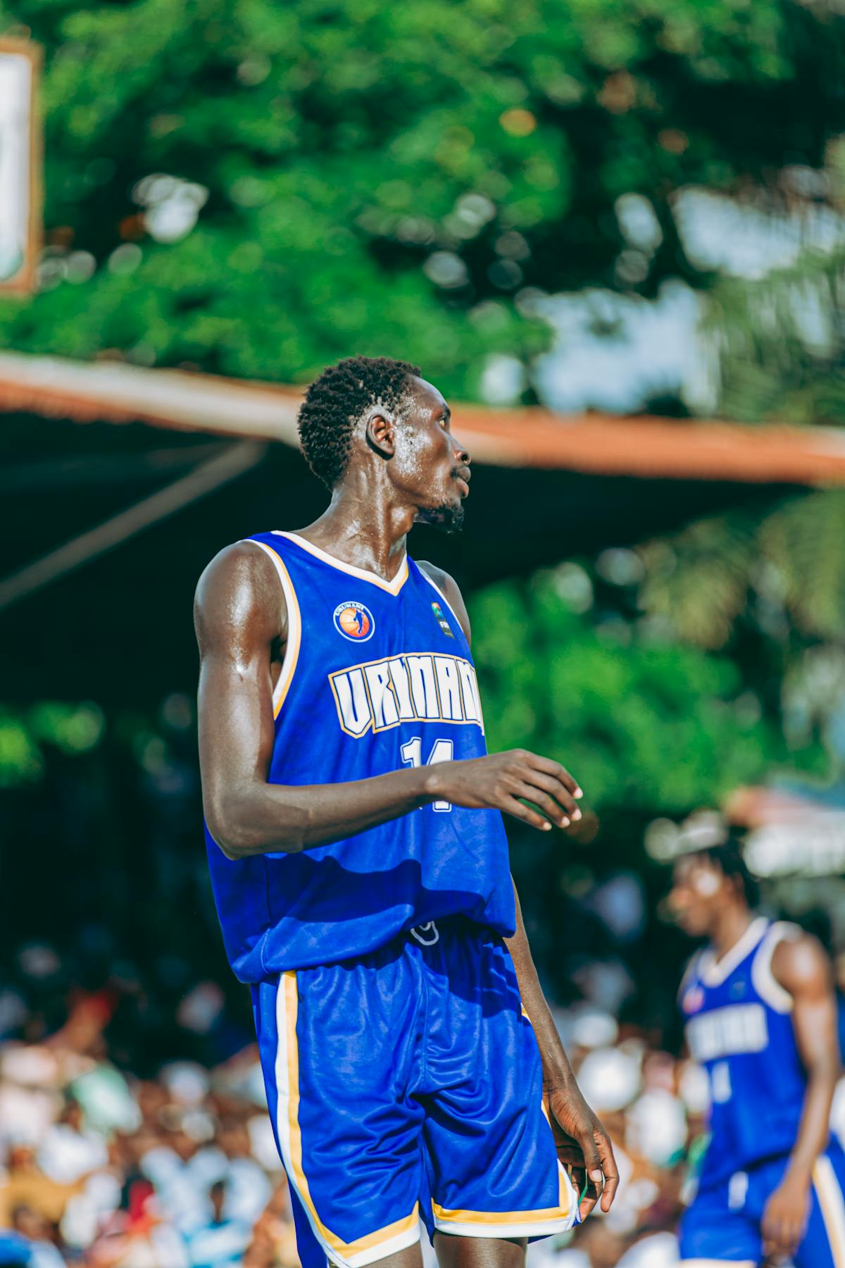 Basketball Pfp Photos, Download The BEST Free Basketball Pfp Stock ...