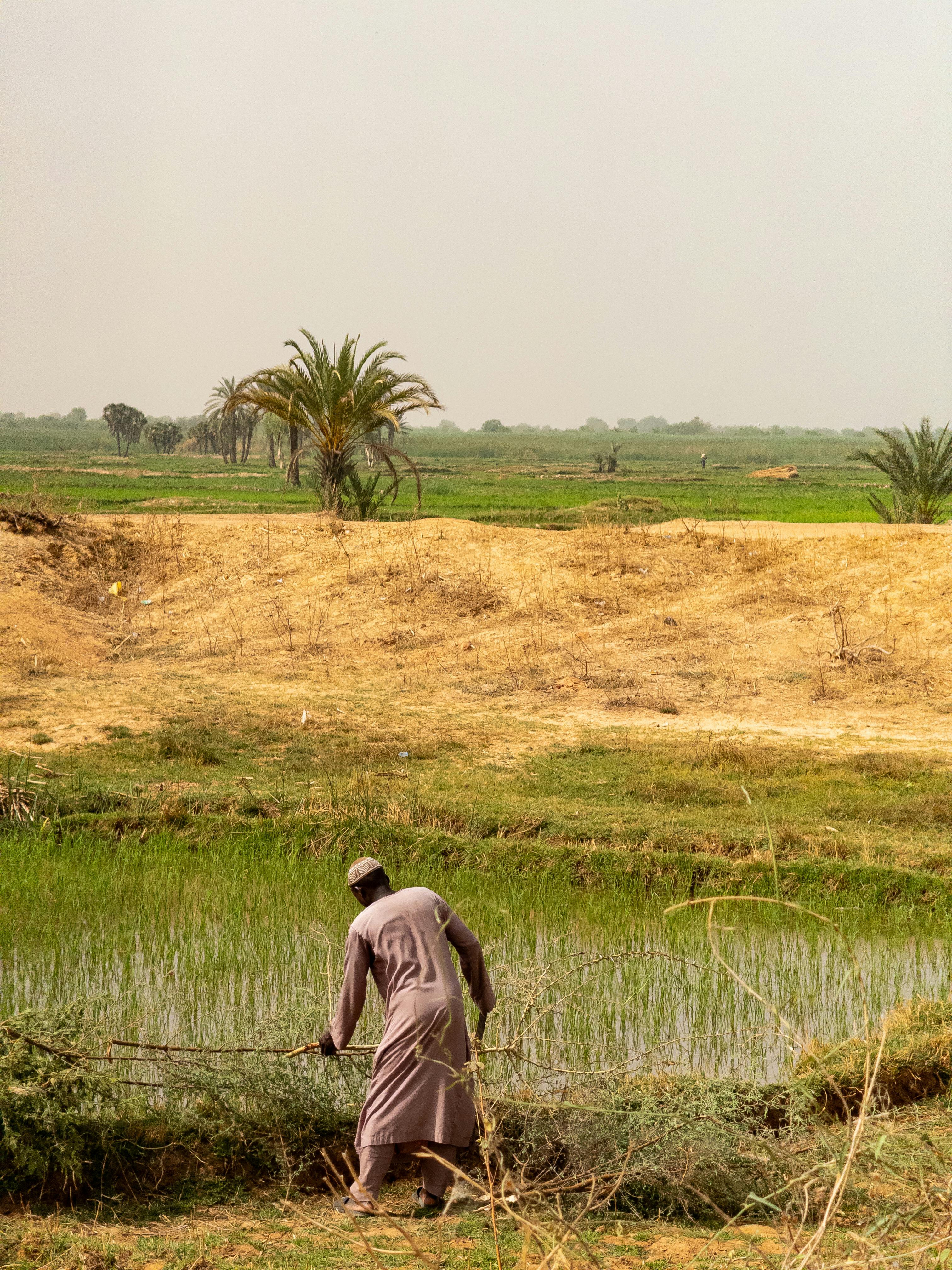 Photo gratuite de @extérieur, afrique, afrique de l'ouest, agraire ...