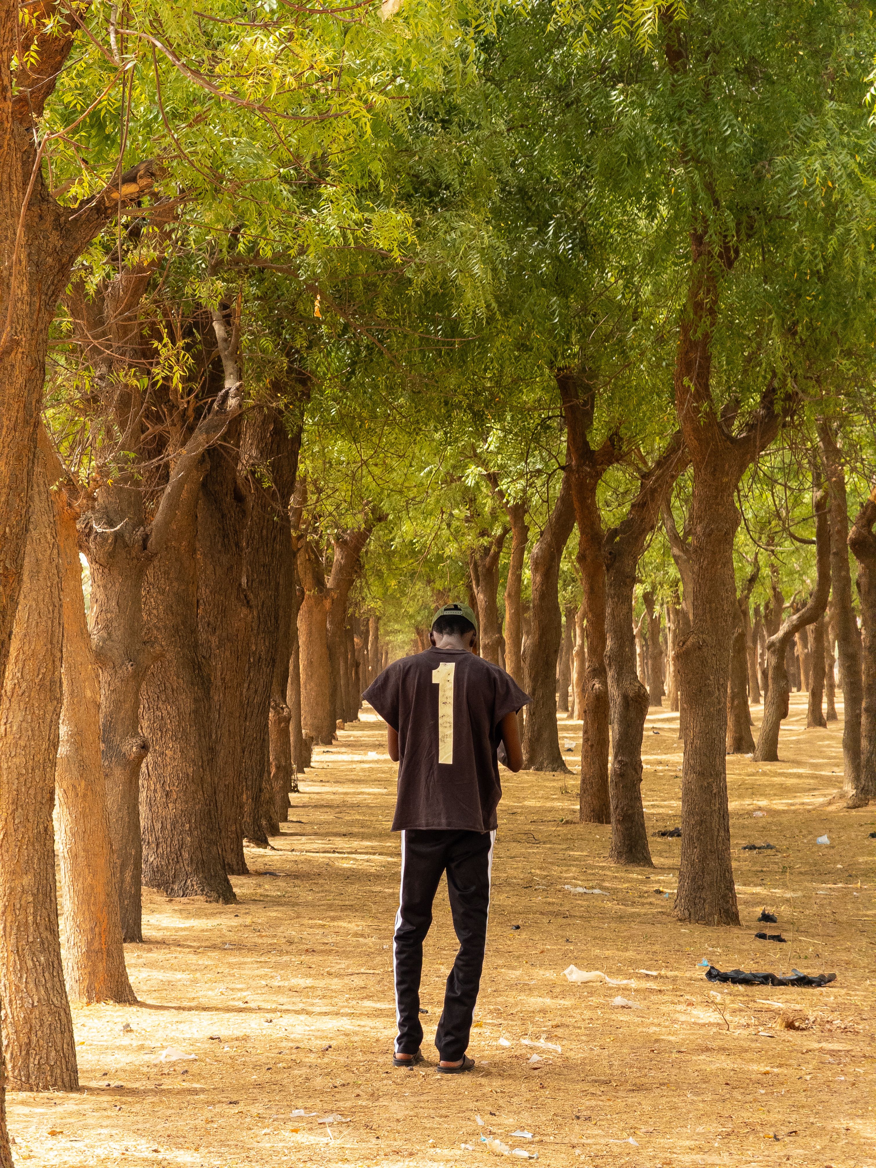 Man Walking in Tree-Lined Path Gezawa, Nigeria · Free Stock Photo