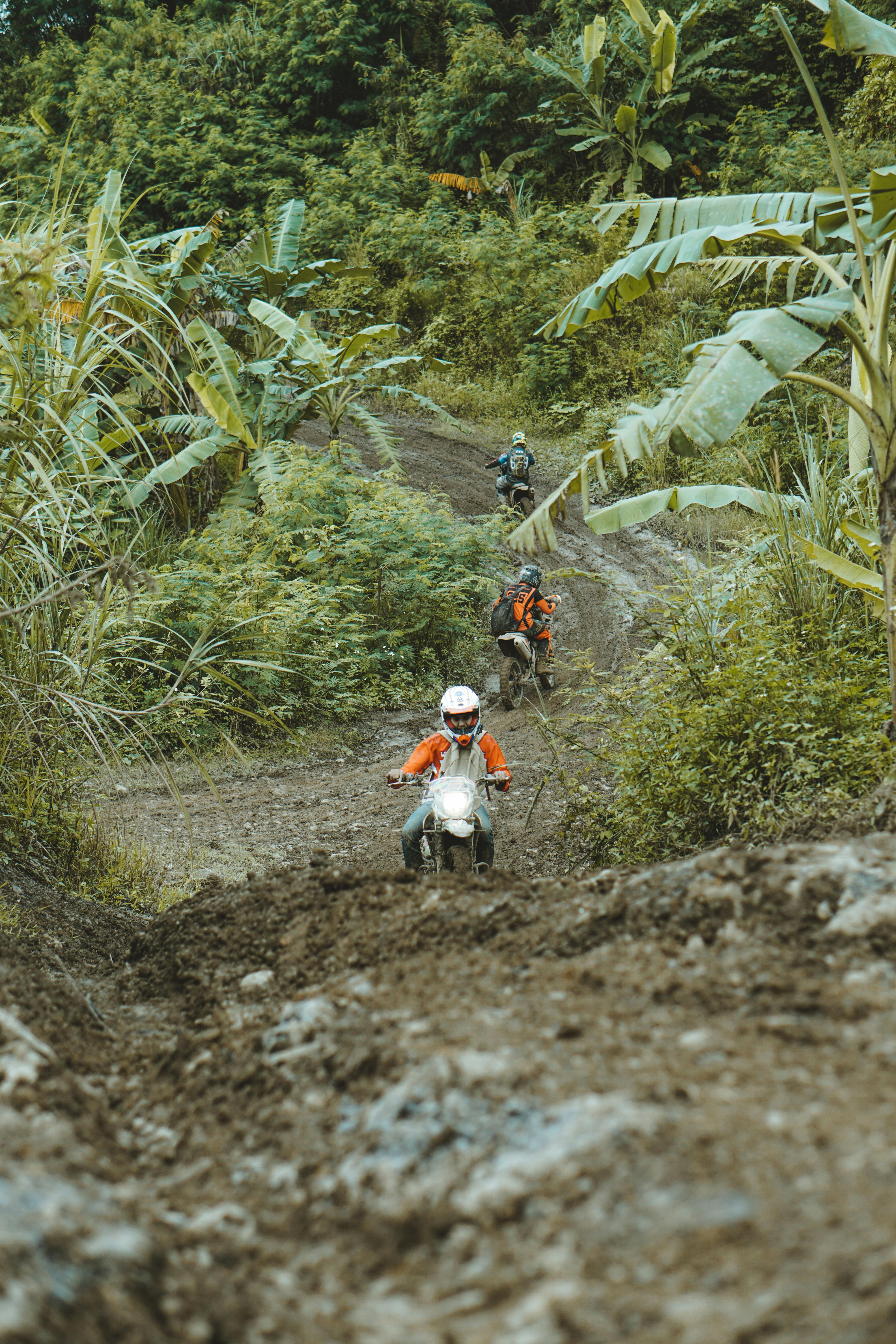 Mud Trail Adventure in West Java Jungle · Free Stock Photo