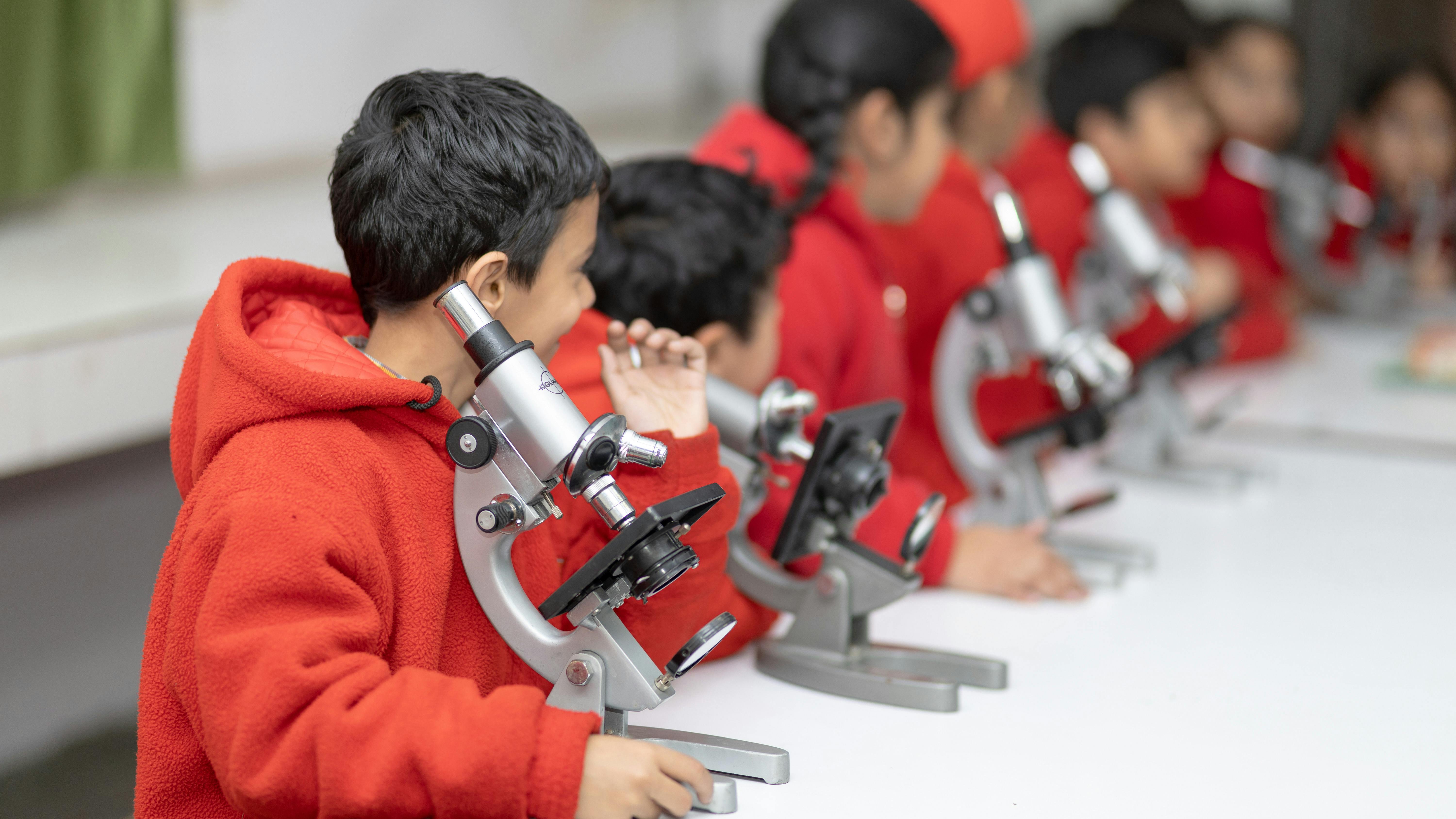 Children Engaging in Science with Microscopes · Free Stock Photo