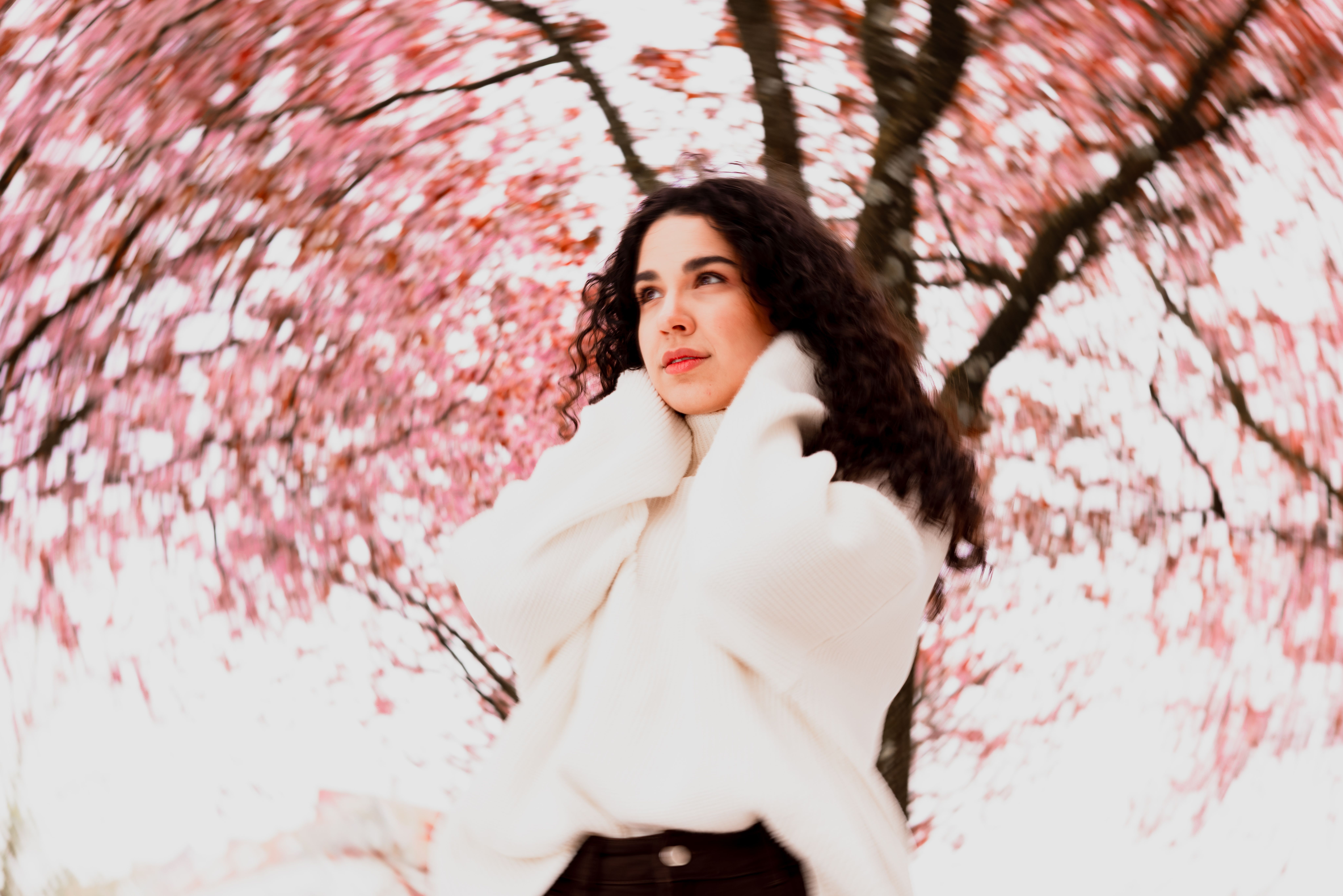 Dreamy Portrait Under Cherry Blossoms · Free Stock Photo