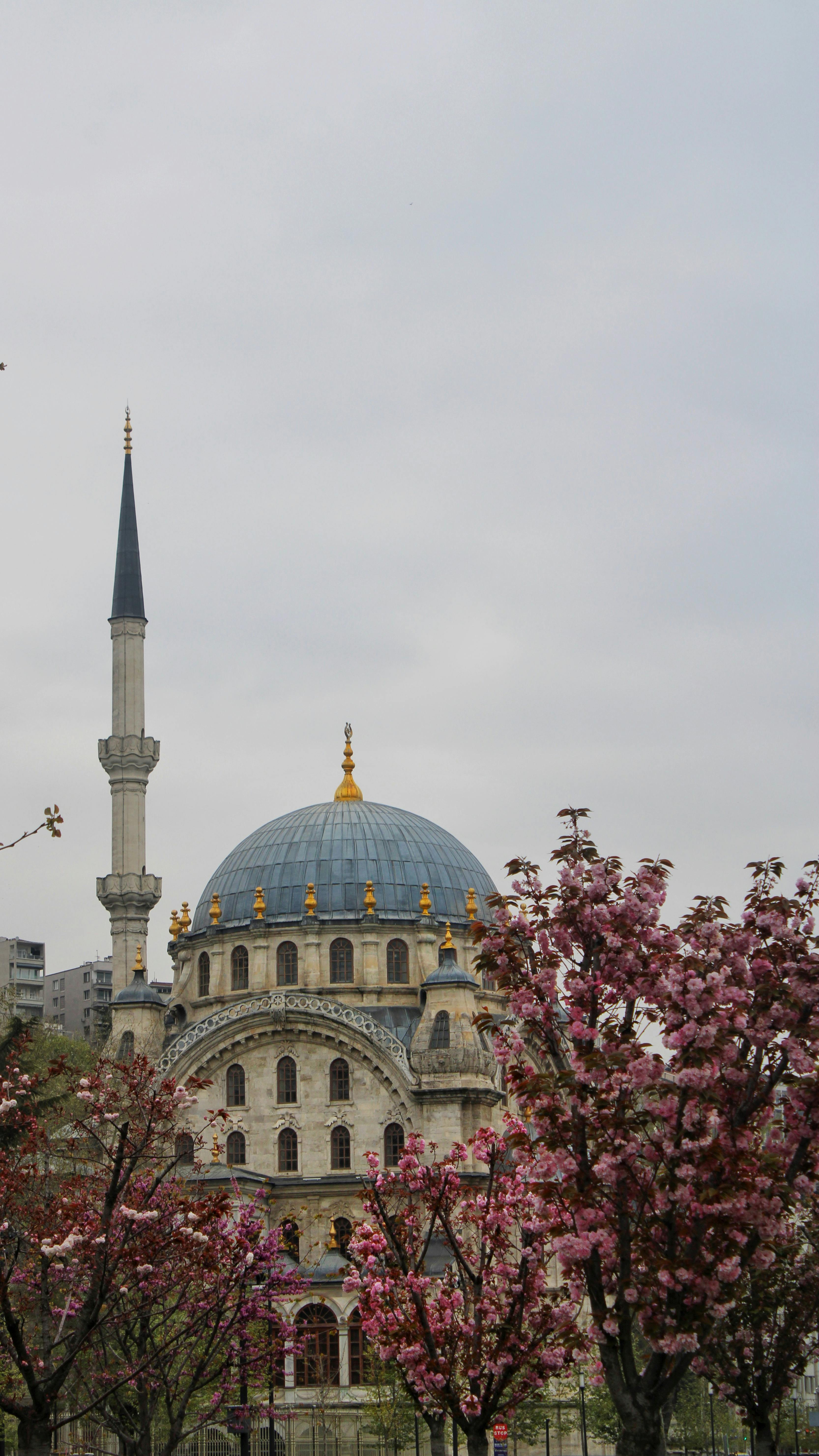 Serene Spring View of Mosque with Blossoms · Free Stock Photo