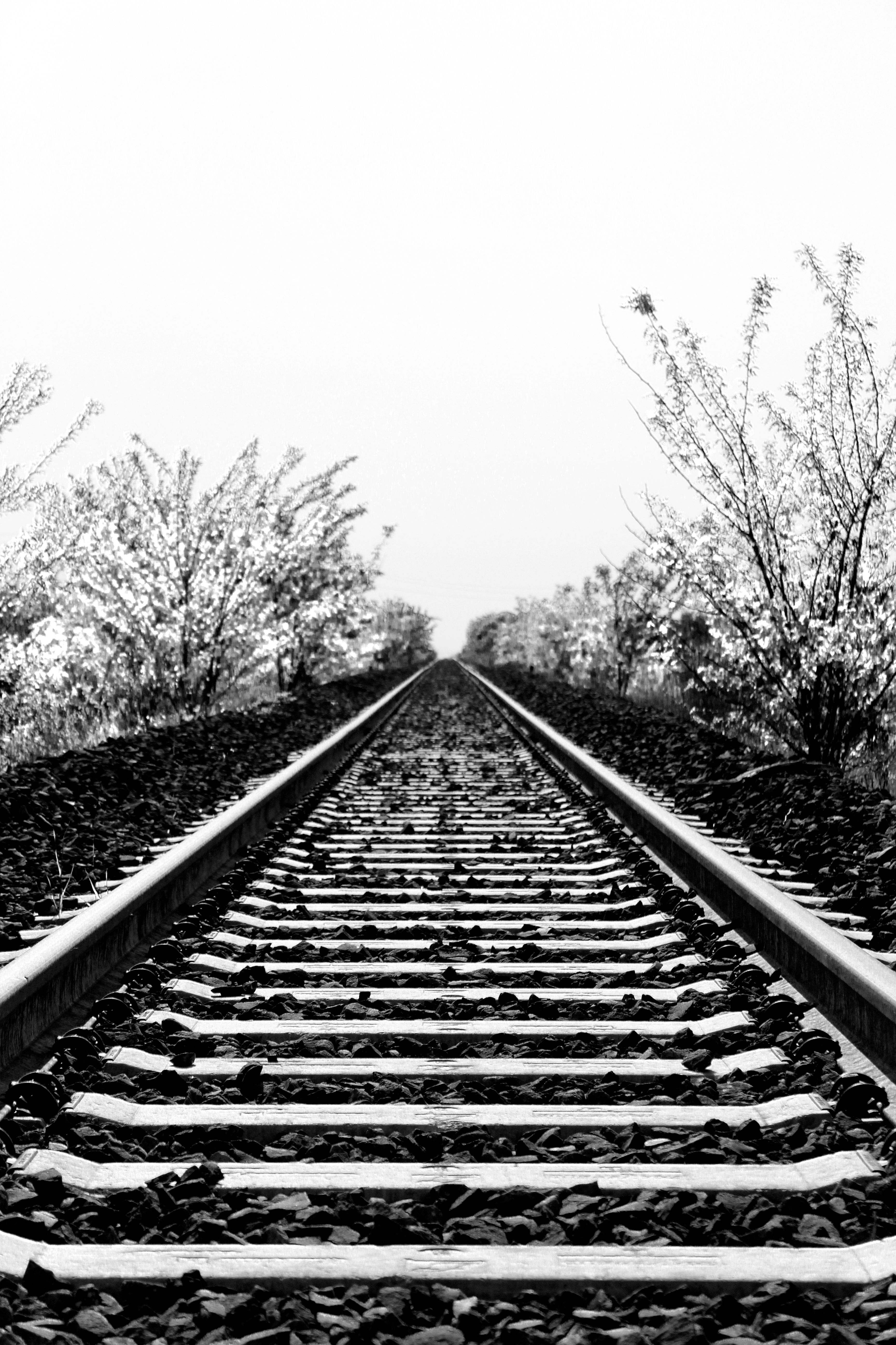 Perspective, Photos, Download The BEST Free Perspective, Stock Photos ...