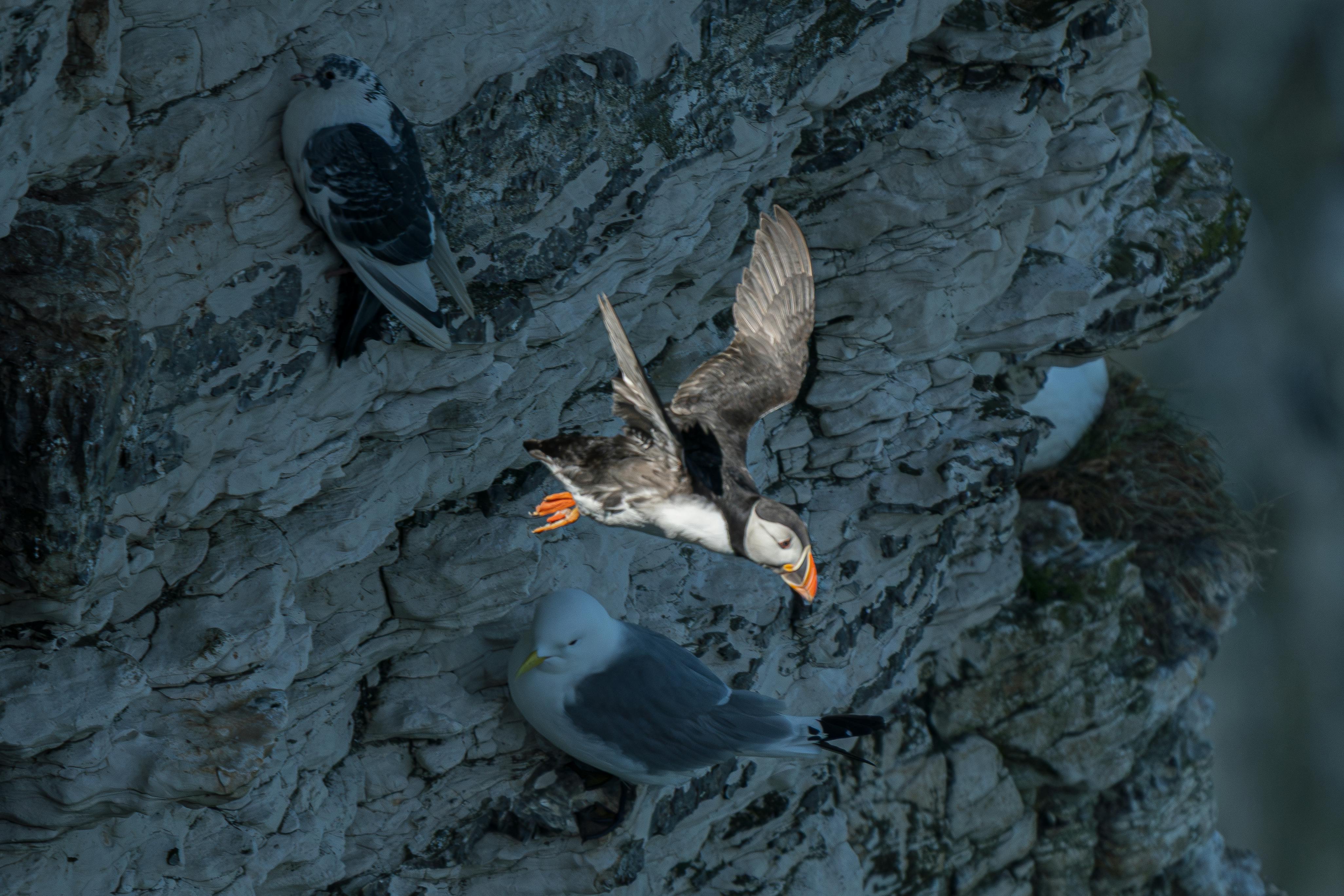 Perspective, Photos, Download The BEST Free Perspective, Stock Photos ...