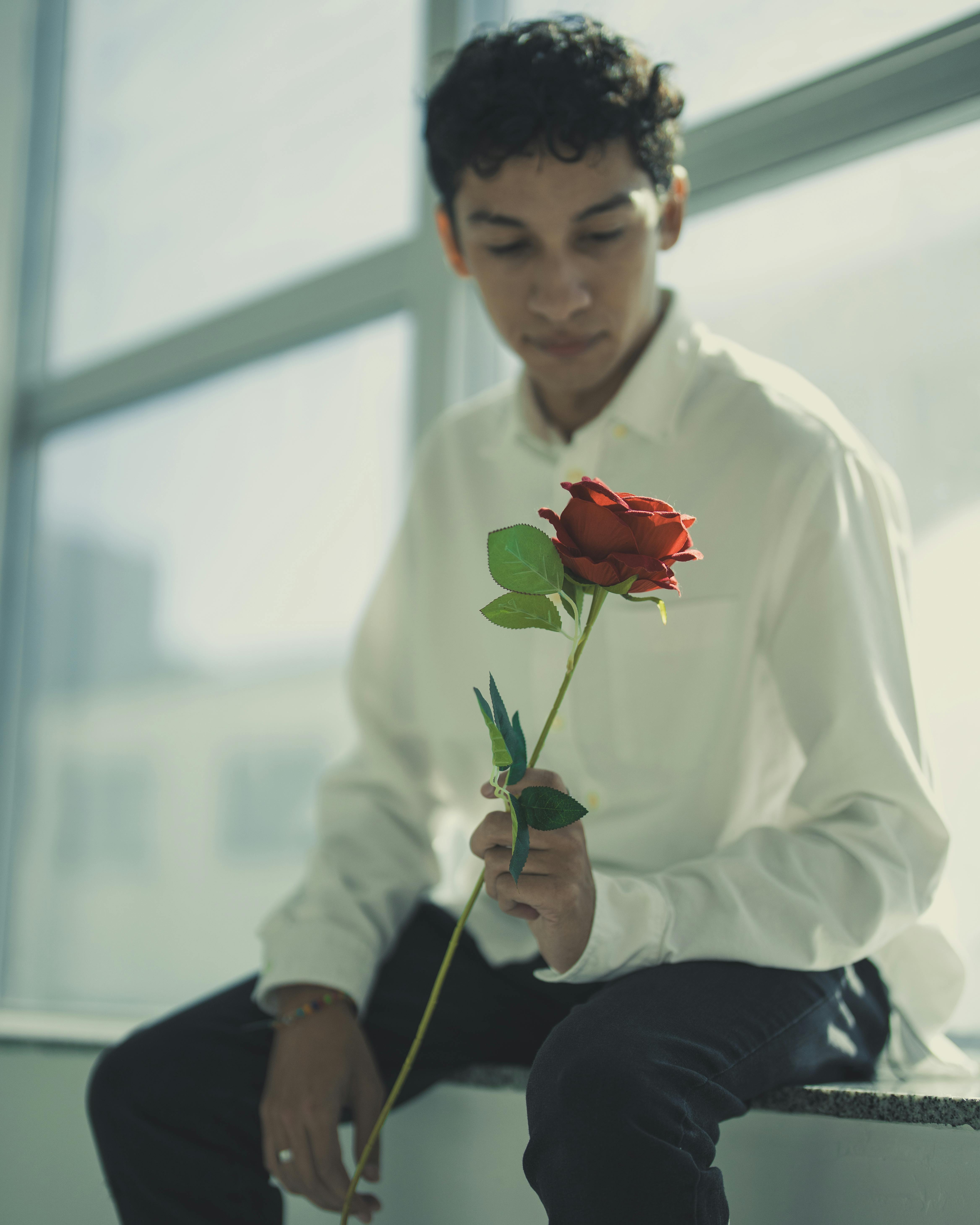 Rose Flower Patel Photos, Download The BEST Free Rose Flower Patel ...