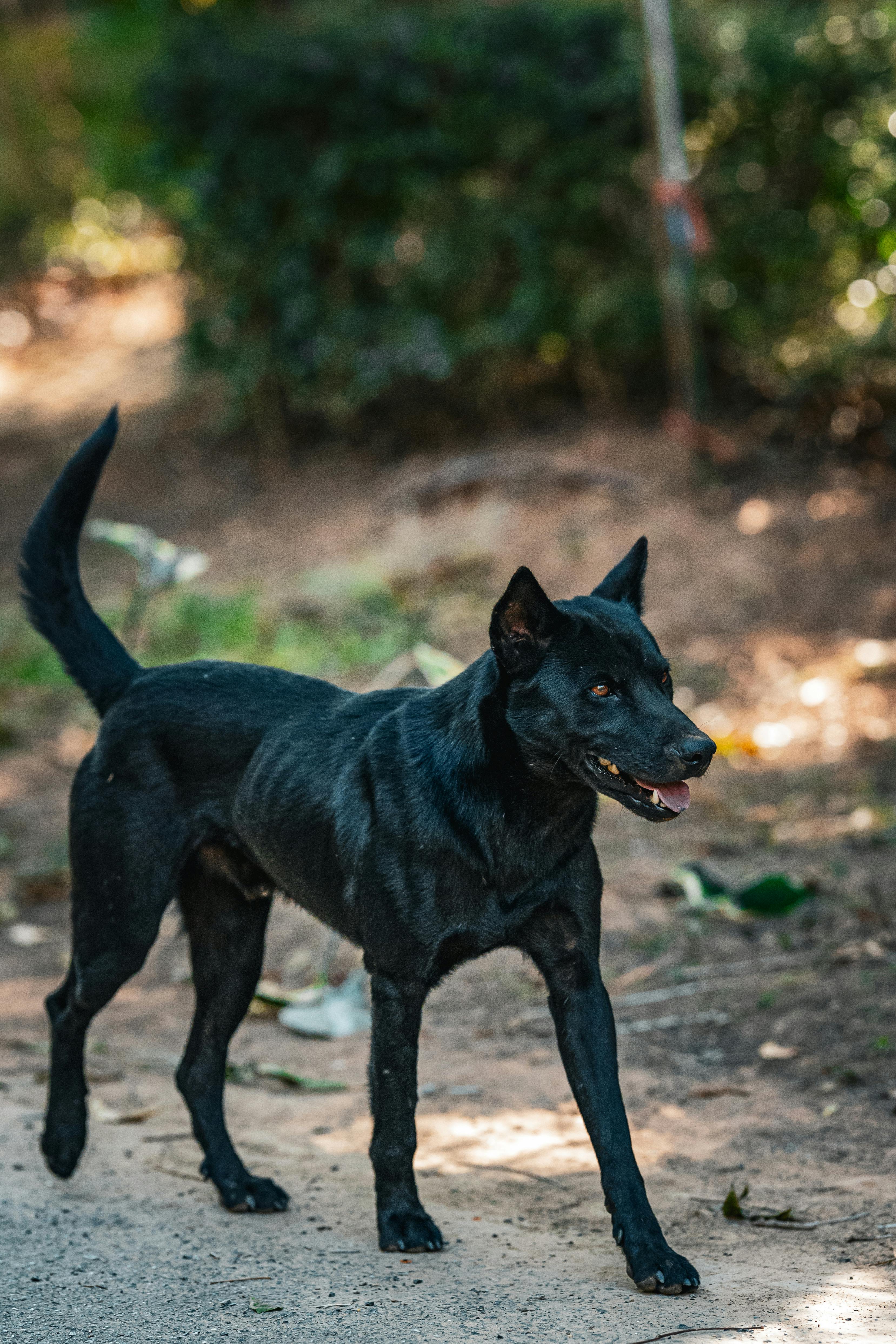 Opium Wallpapers Photos, Download The BEST Free Opium Wallpapers Stock ...