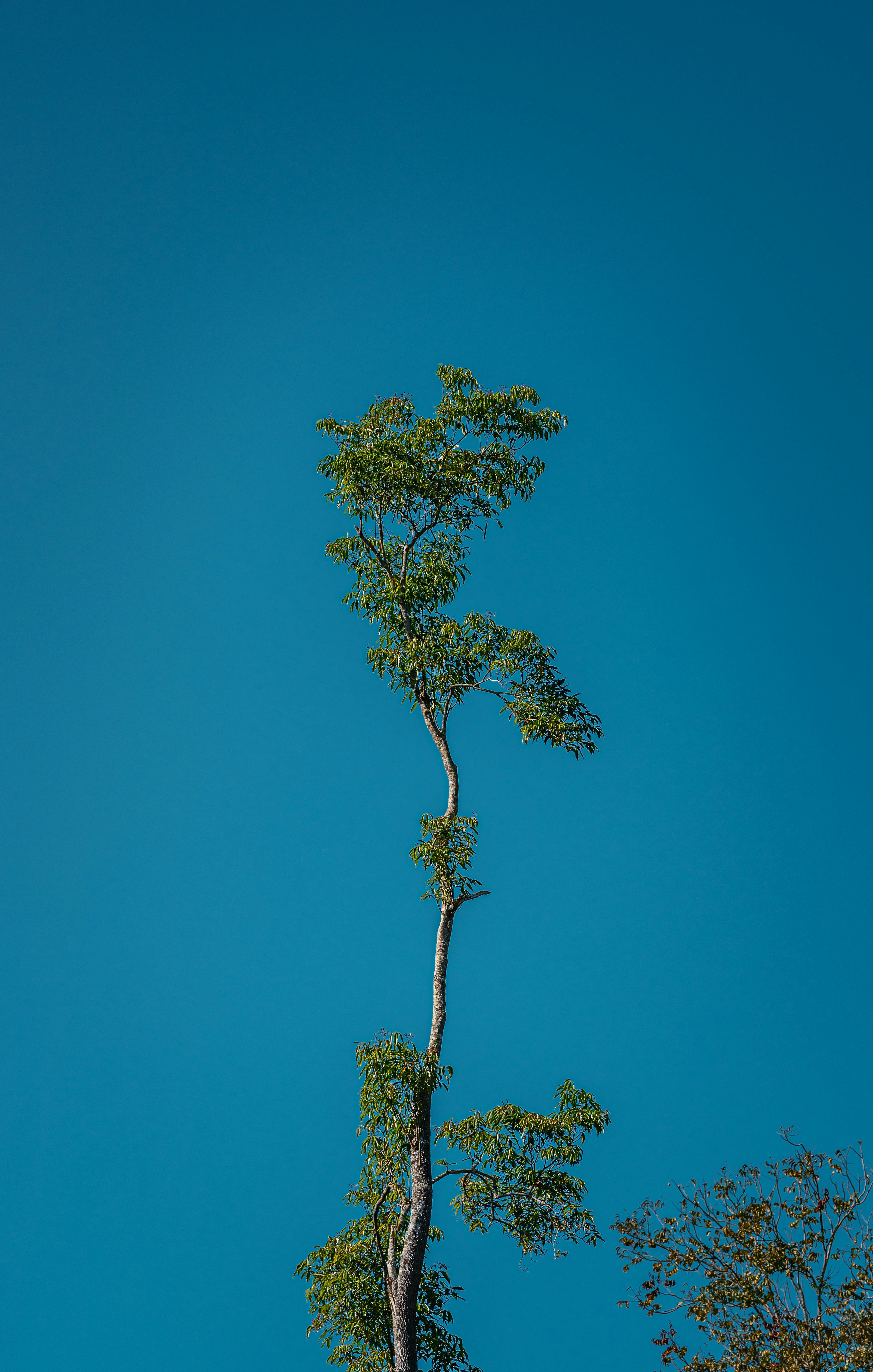 Browser Wallpaper Photos, Download The BEST Free Browser Wallpaper ...