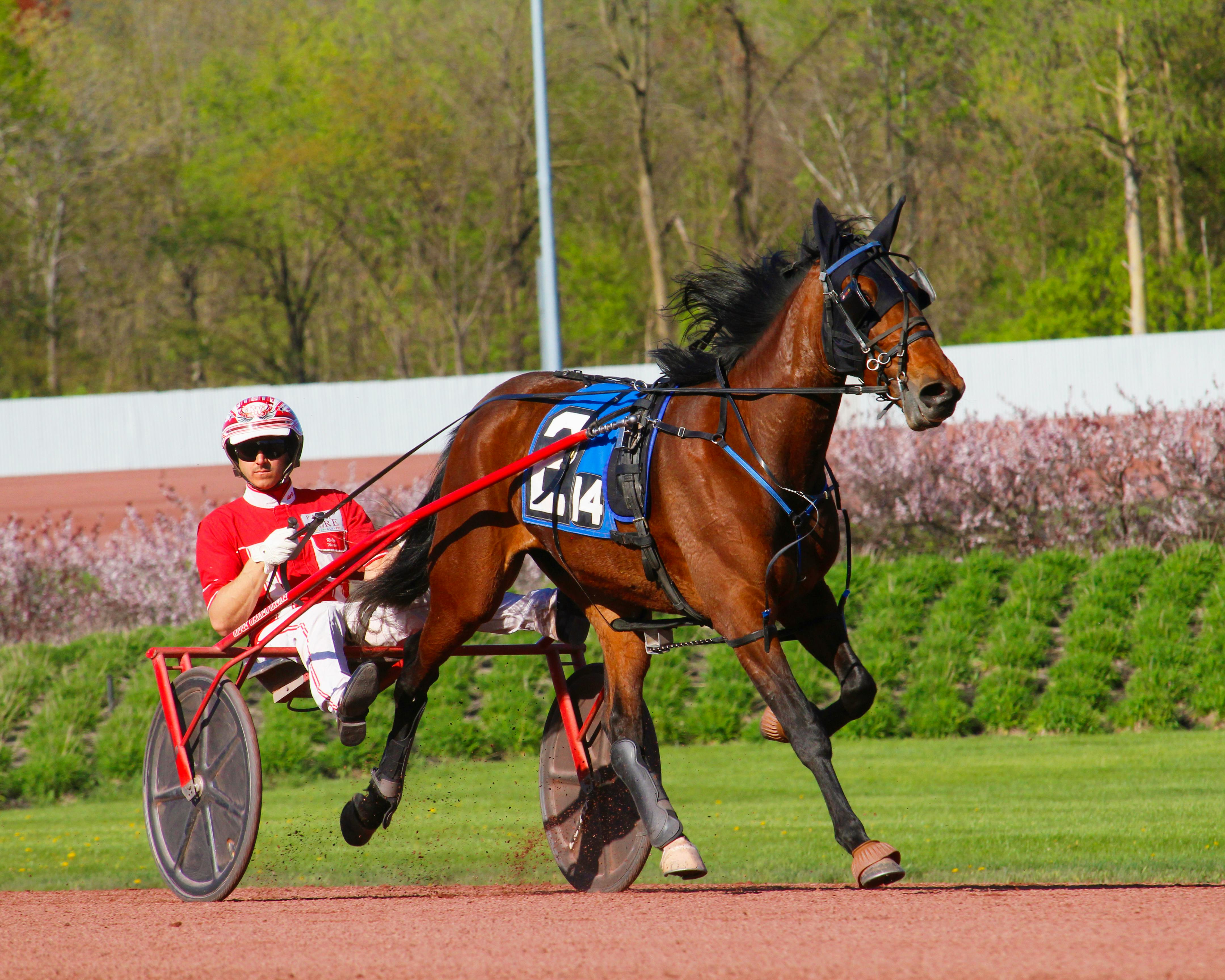 Fast Cart Photos, Download The BEST Free Fast Cart Stock Photos & HD Images