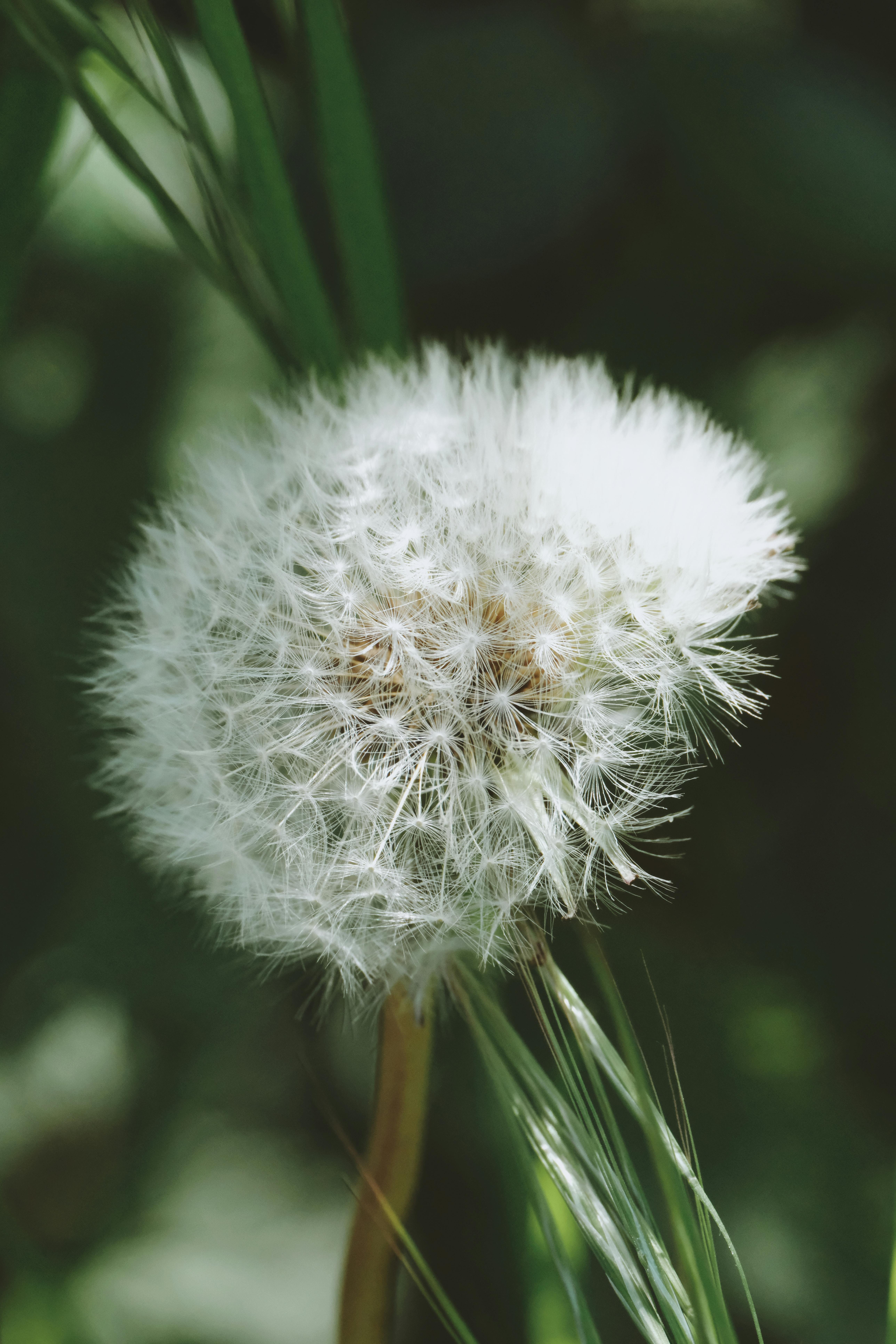 Compare Background Photos, Download The BEST Free Compare Background ...