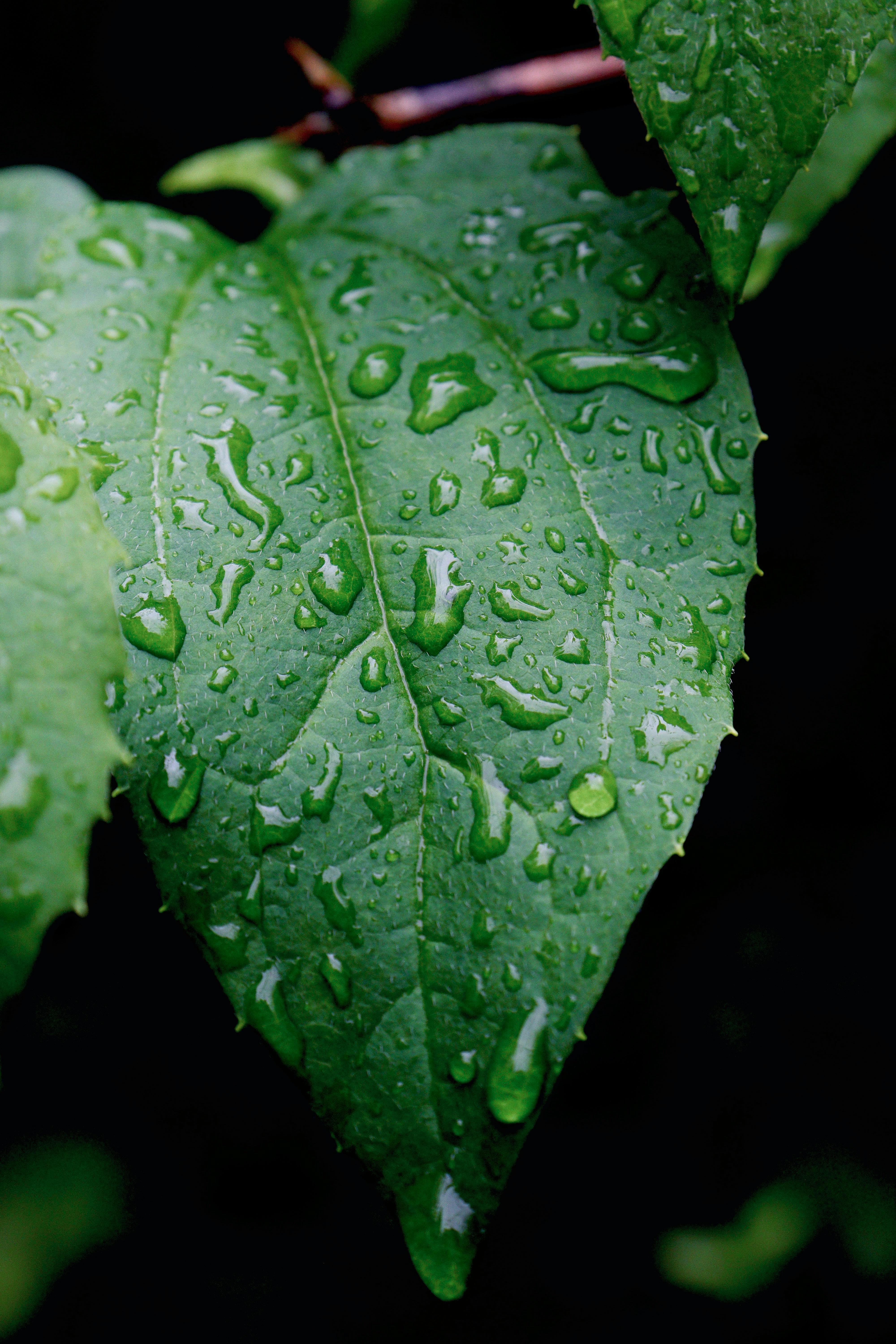 Clean Texture Photos, Download The BEST Free Clean Texture Stock Photos ...