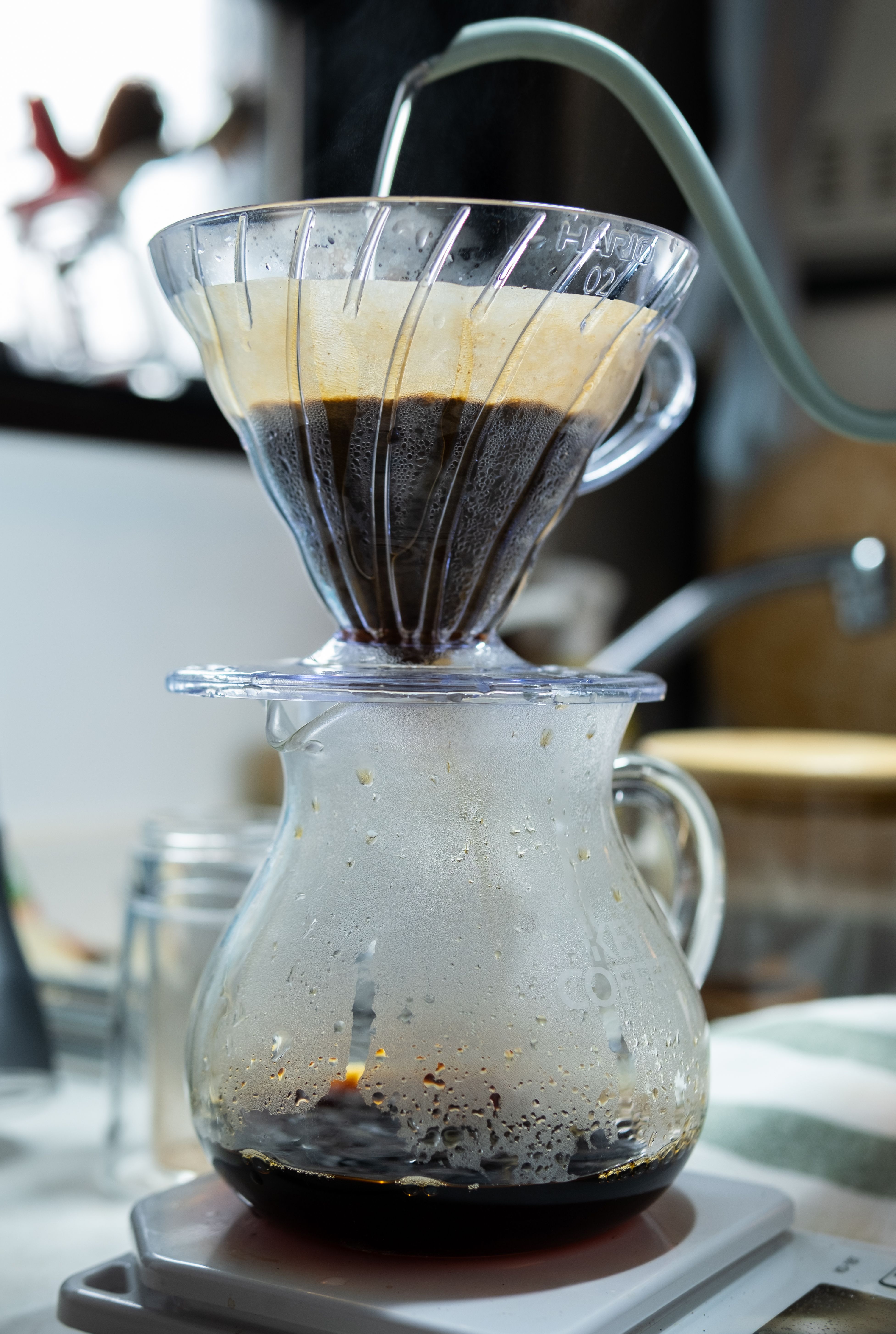 Drip Coffee Brewing with Hario V60 in Tokyo Cafe · Free Stock Photo