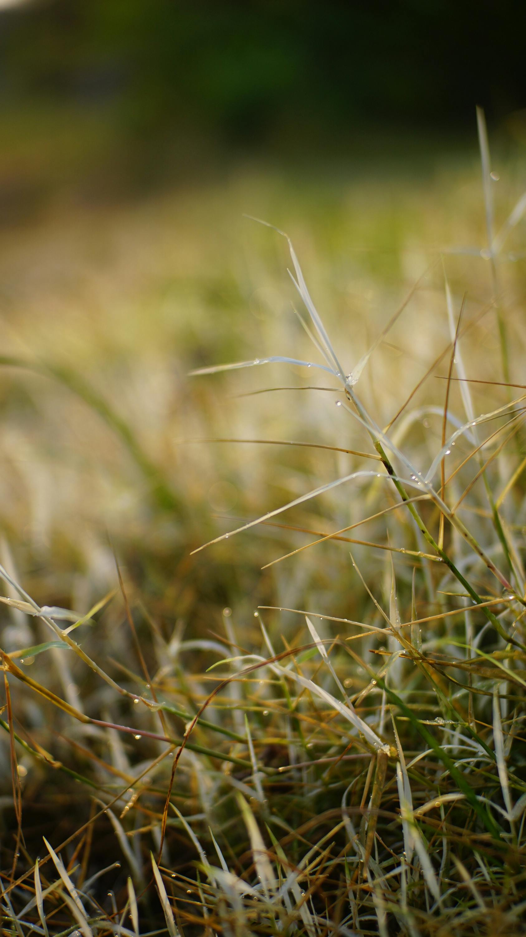 Textures Ground Photos, Download The BEST Free Textures Ground Stock ...