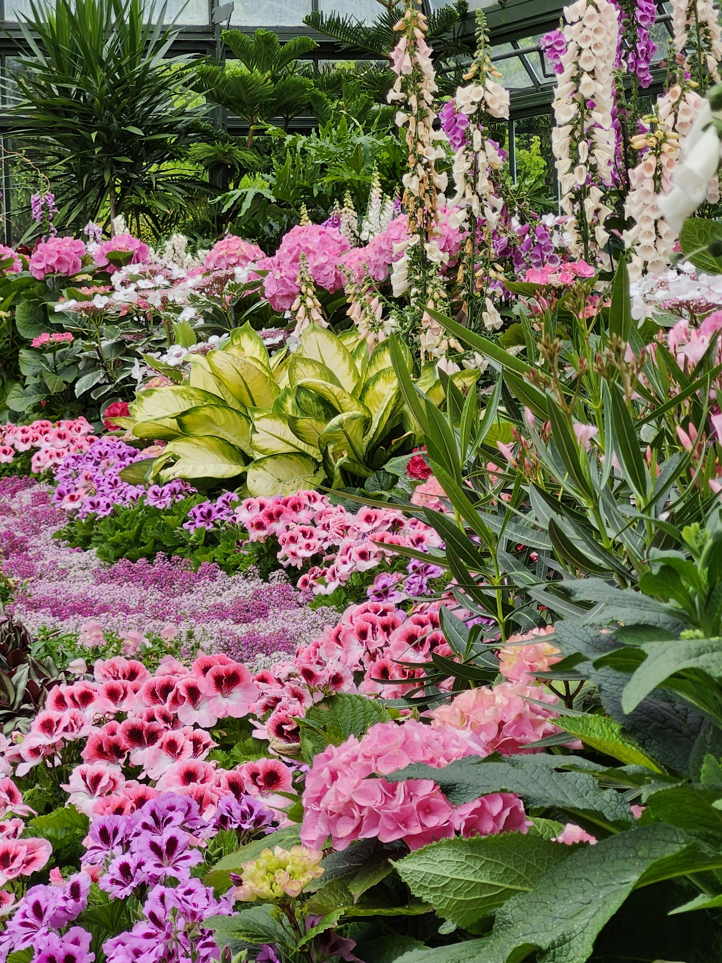 Vibrant Flower Display at Niagara Falls Botanical Garden · Free Stock Photo