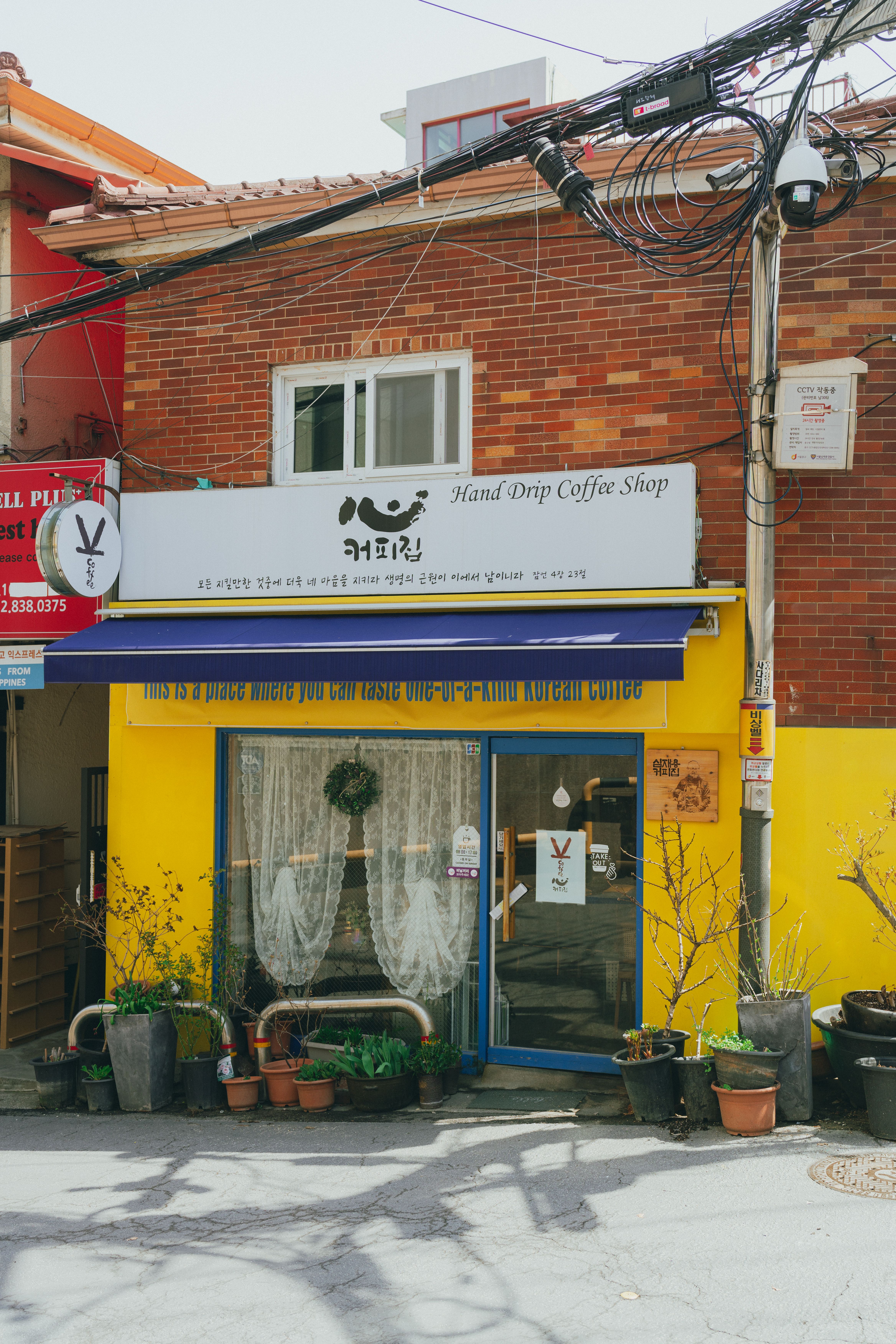Cozy Hand Drip Coffee Shop in Seoul's Streets · Free Stock Photo
