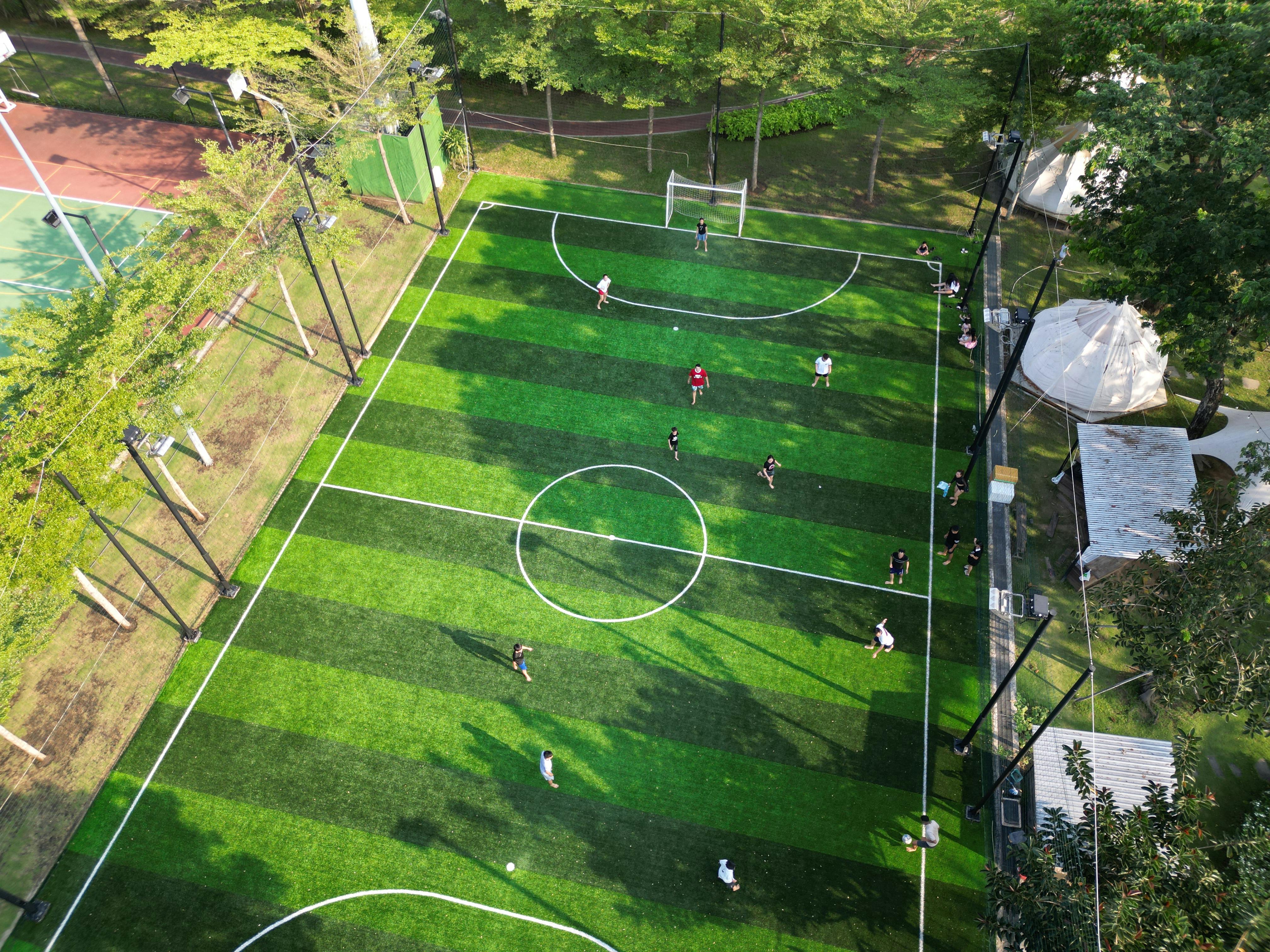 Turf Photos, Download The BEST Free Turf Stock Photos & HD Images