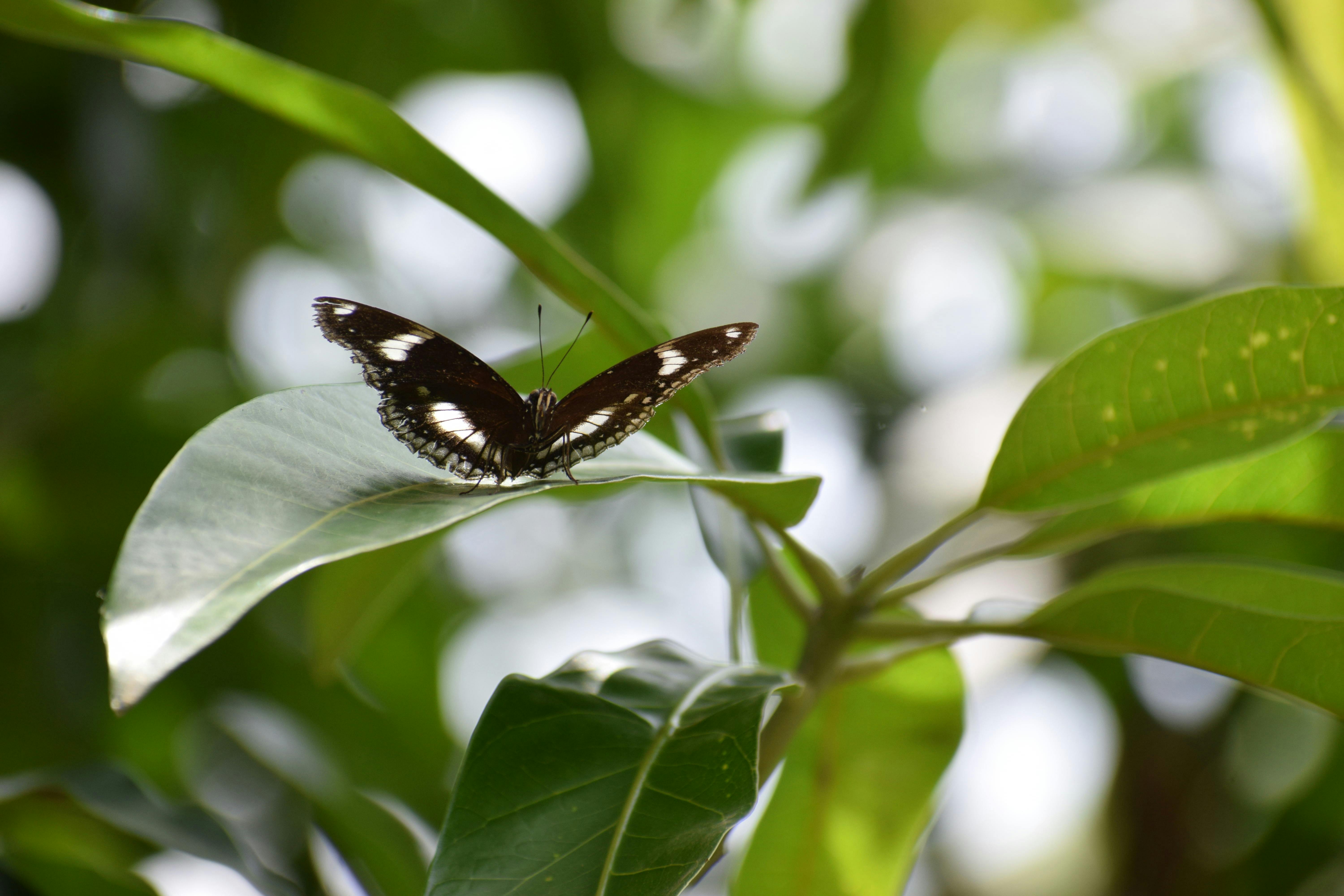 Yearbook Background Photos, Download The BEST Free Yearbook Background ...