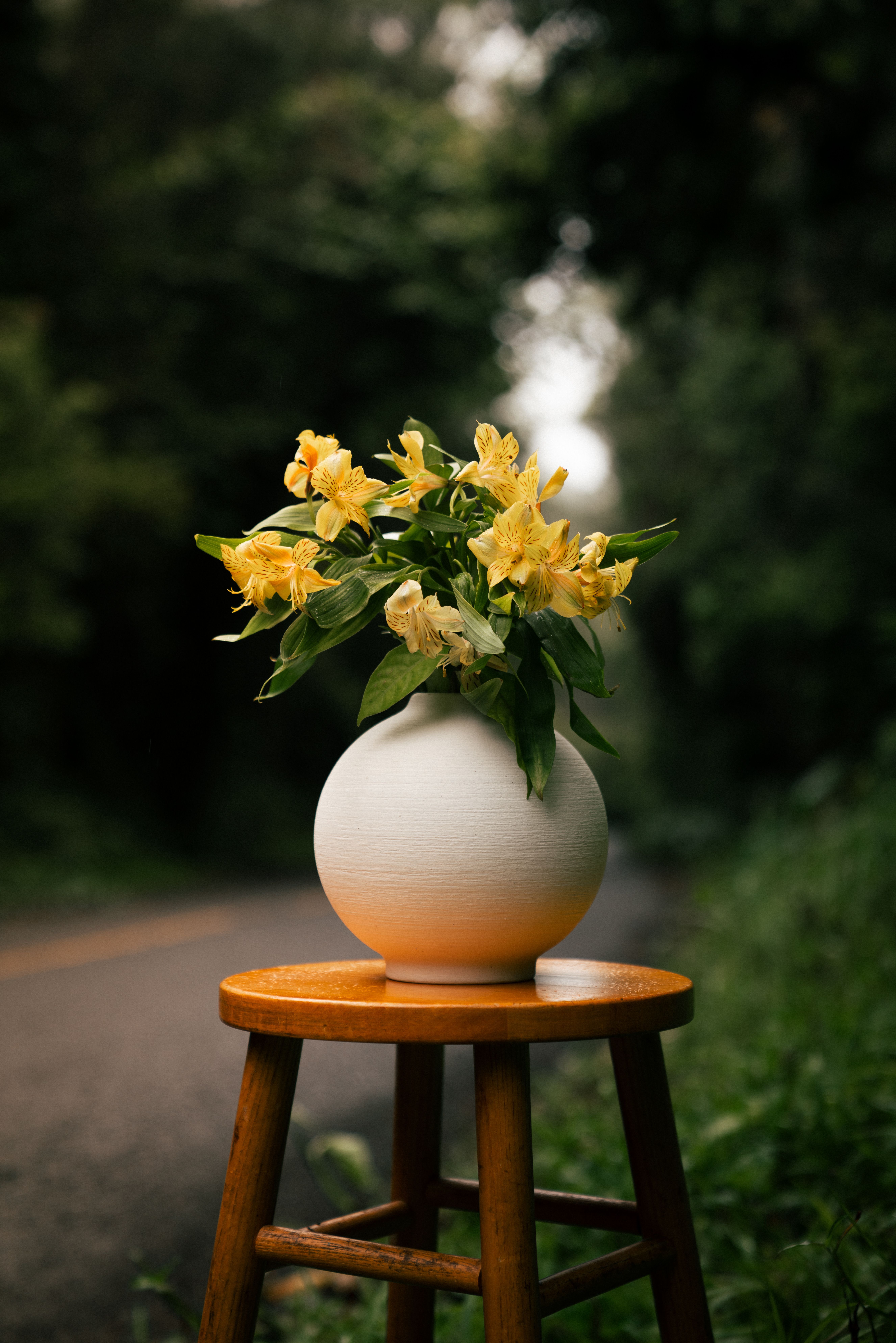 Yellow Flowers in Vase on Wooden Stool Outdoors · Free Stock Photo